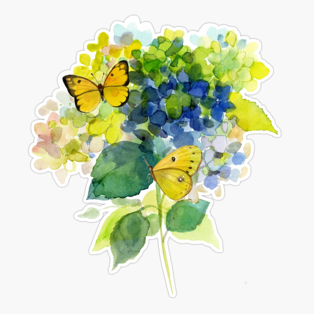 Onim Hydrangea And Butterfly Watercolor Sticker, Phone Decal Water ...
