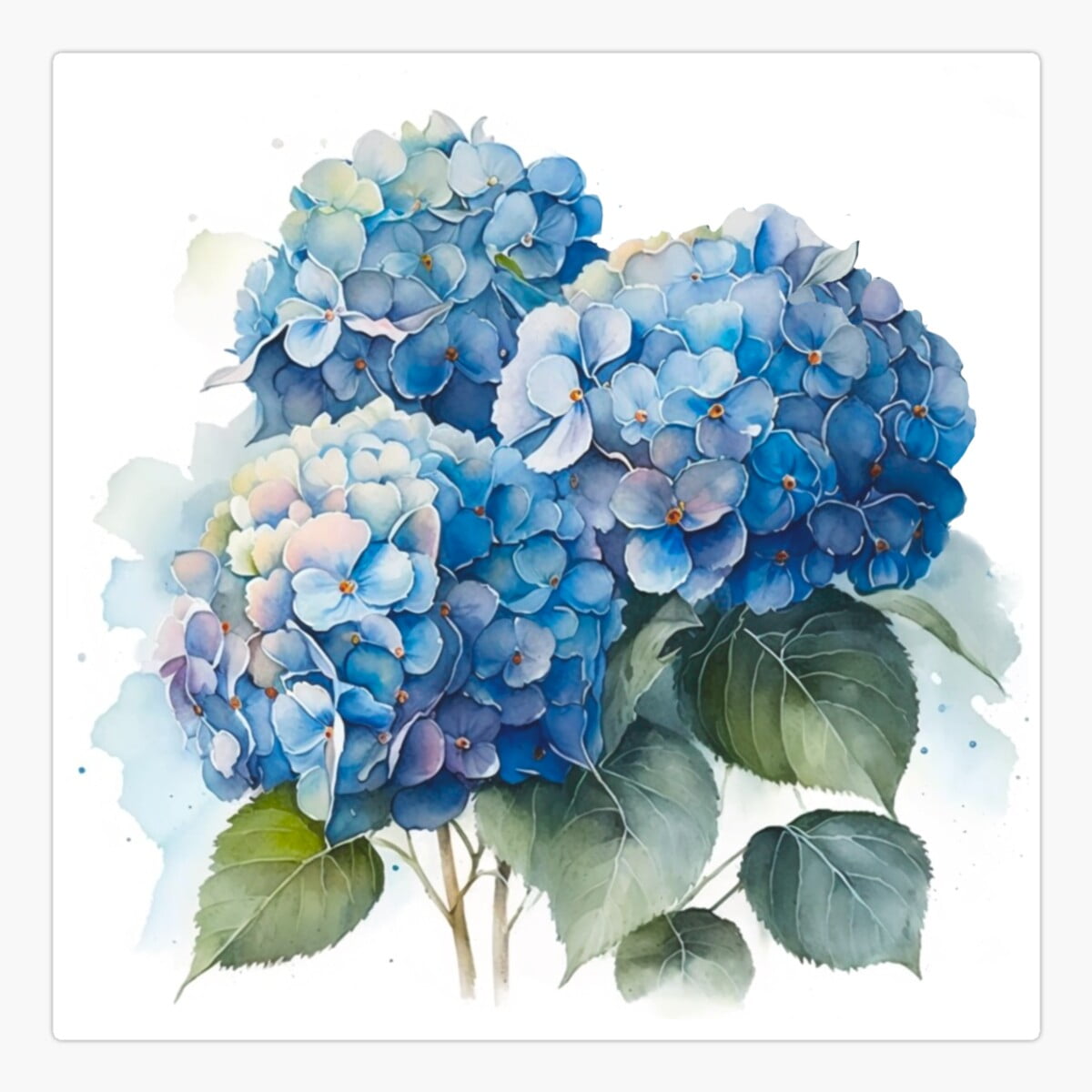 Onim Hydrangeas Sticker, Phone Decal Water Bottle Stickers Car Decals ...
