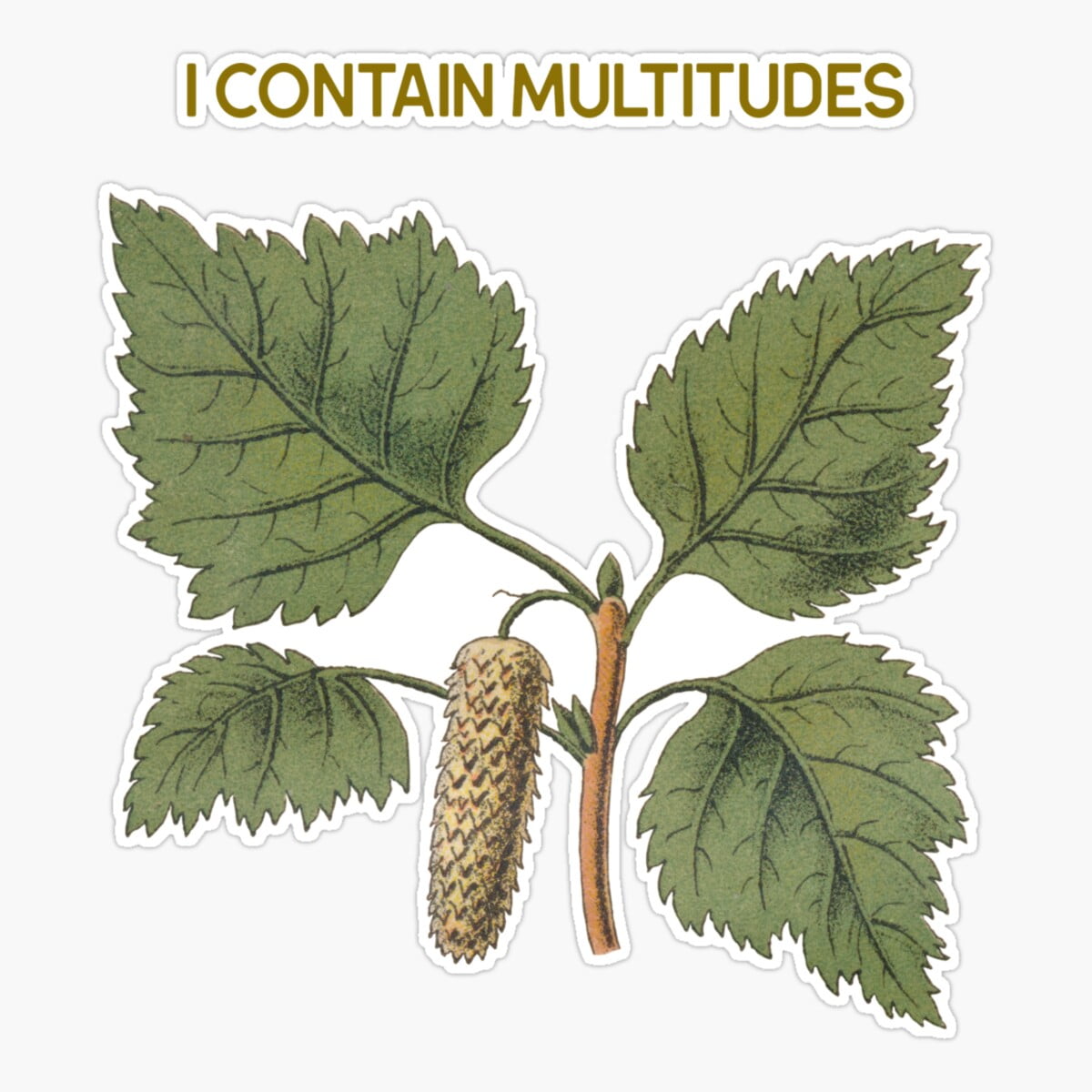 Onim I Contain Multitudes Sticker, Phone Decal Water Bottle Stickers ...