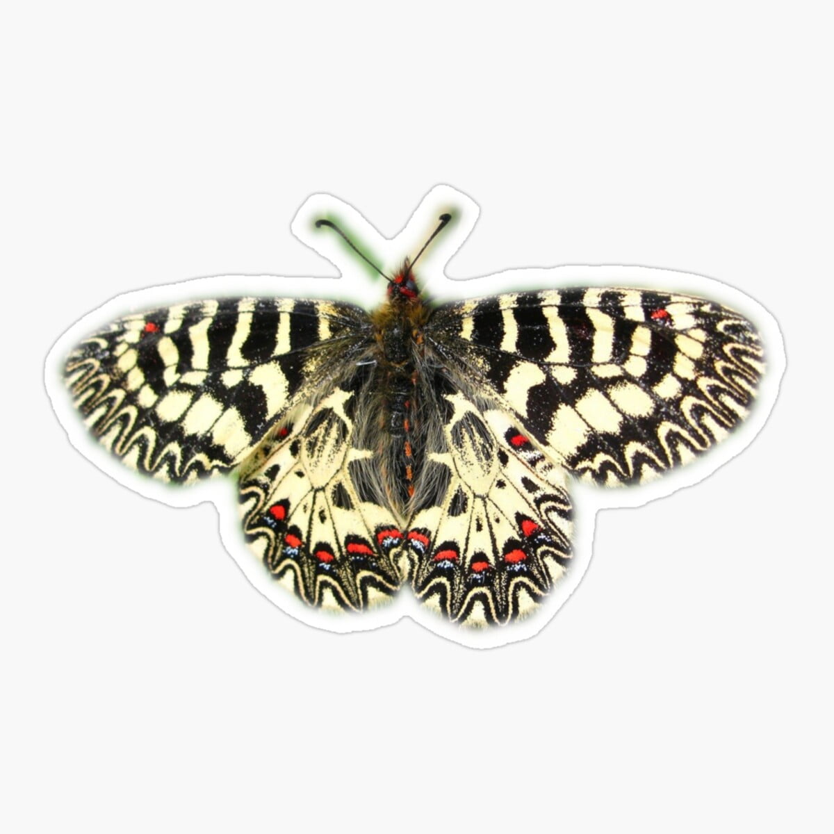 Onim I Like Dogs. [Detroit: Become Human] Sticker, Phone Decal Water ...