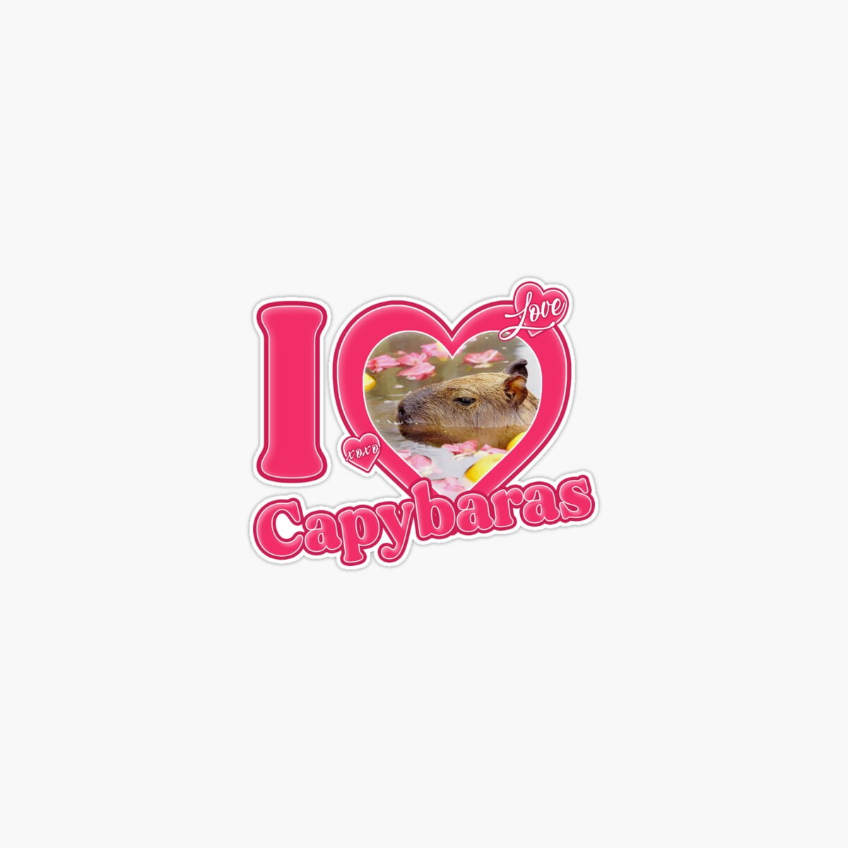 Onim I Love Capybaras Sticker, Phone Decal Water Bottle Stickers Car ...
