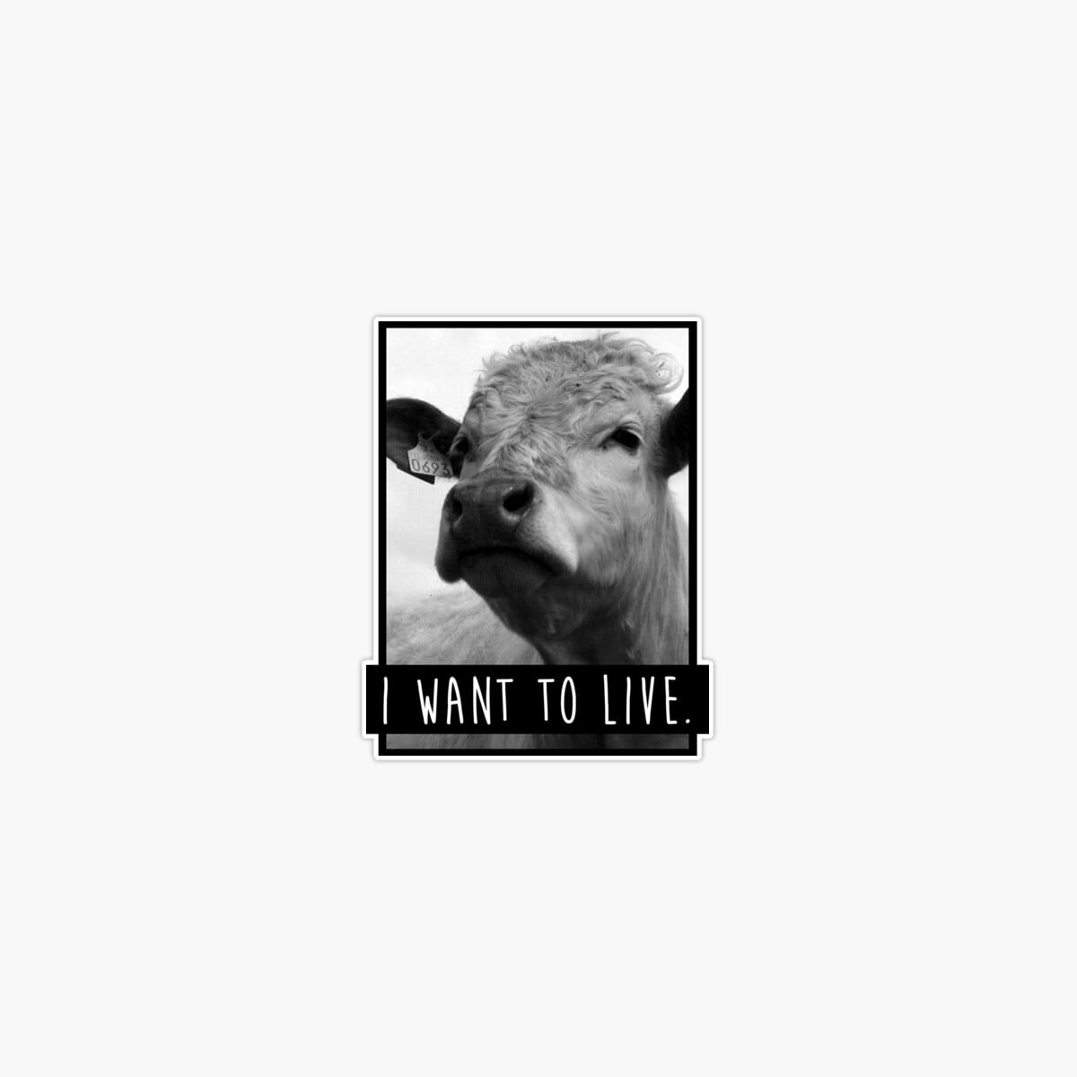 Onim I Want To Live (Cow) Sticker, Phone Decal Water Bottle Stickers ...