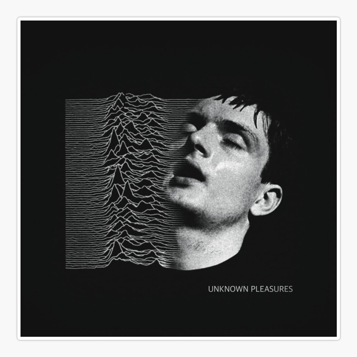 Onim Ian Curtis Joy Division Sticker, Phone Decal Water Bottle Stickers ...