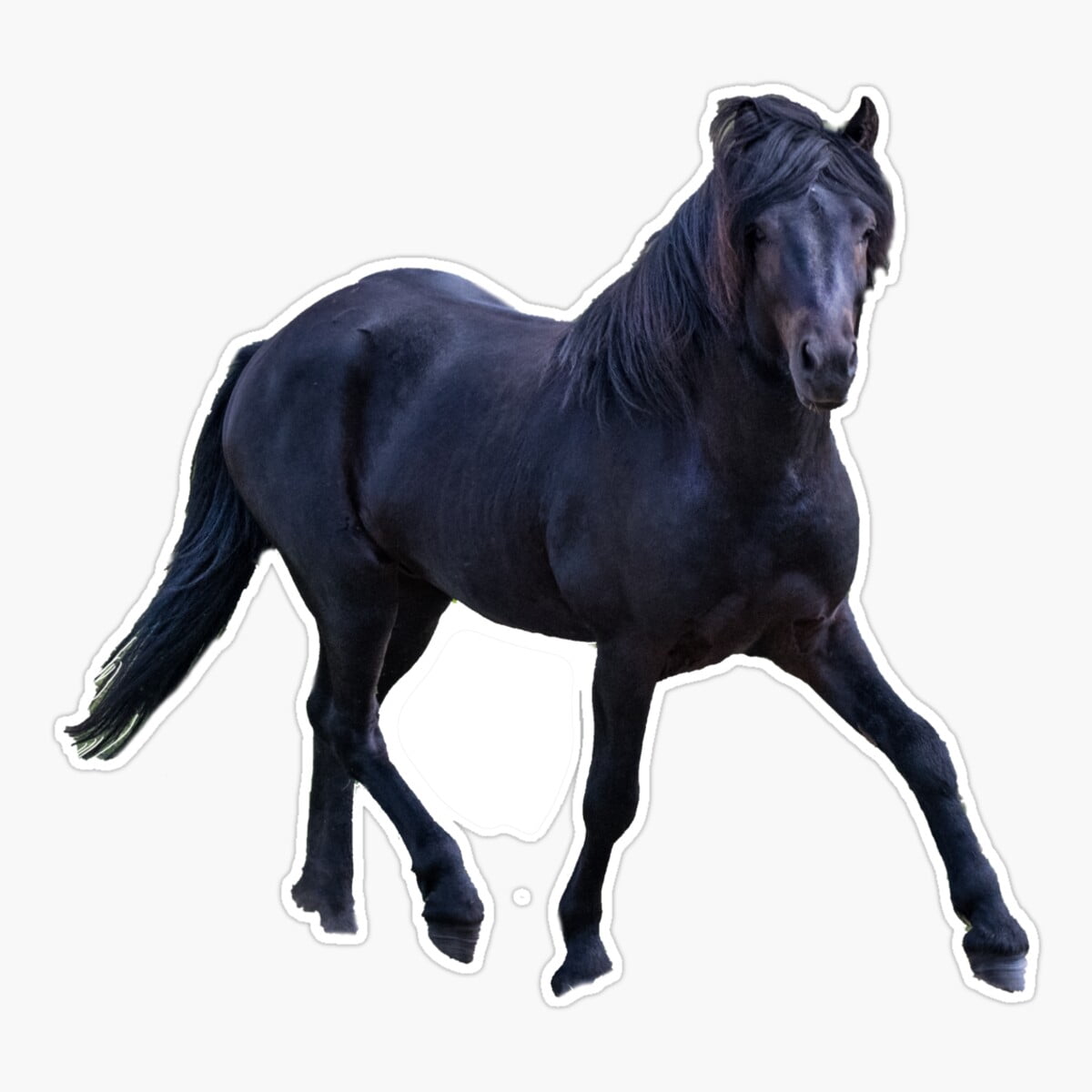 Onim Icelandic Stallion Sticker, Phone Decal Water Bottle Stickers Car ...