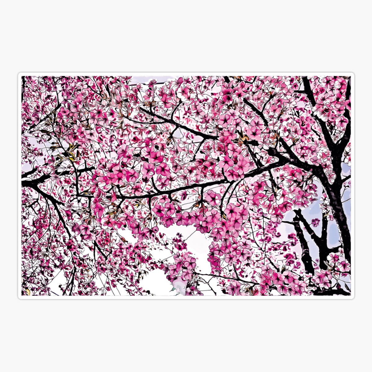 Onim Illustration Drawing Sakura, Japanese Cherry Tree Sticker, Phone ...