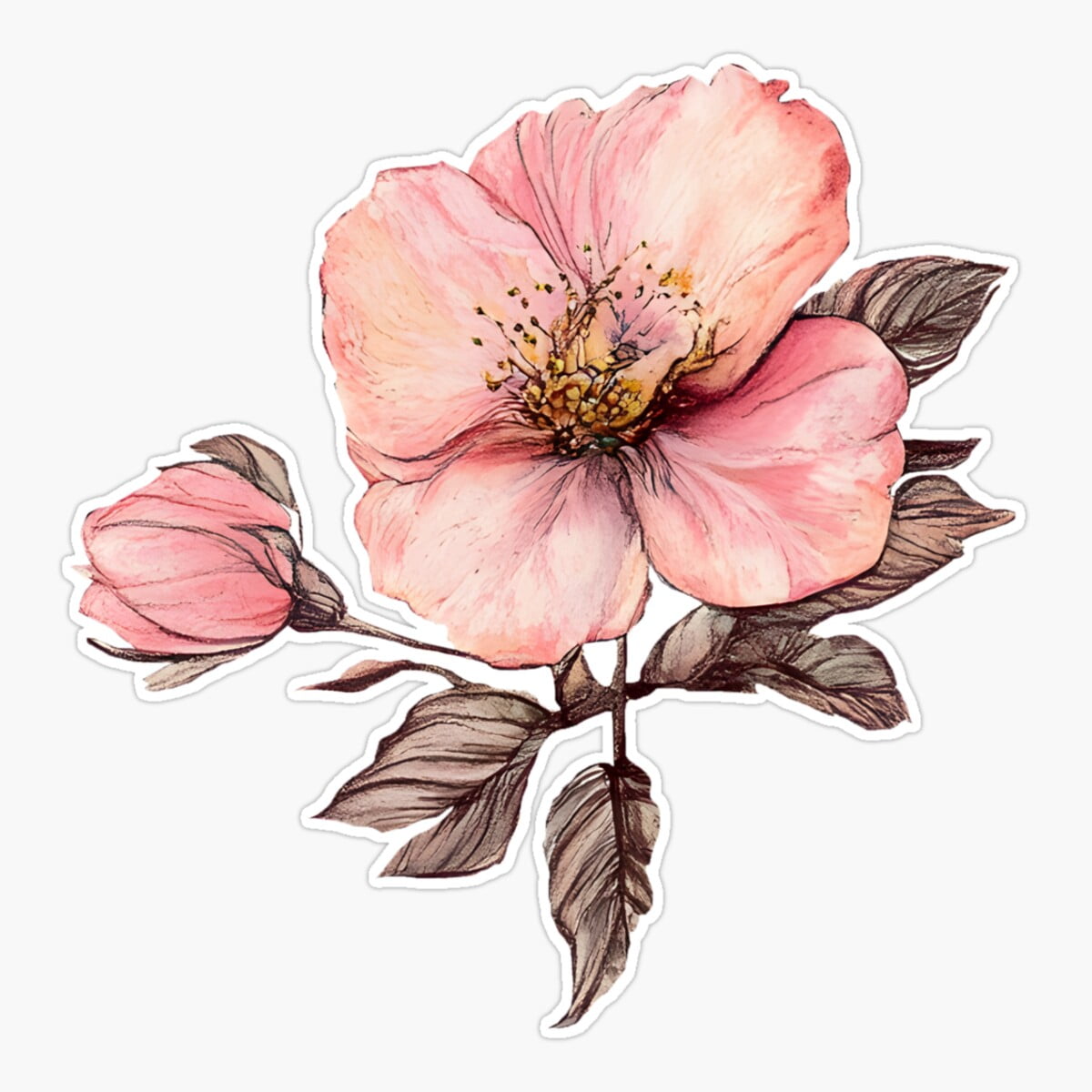 Onim Illustration Of Japanese Pink Flowers Sticker, Phone Decal Water ...