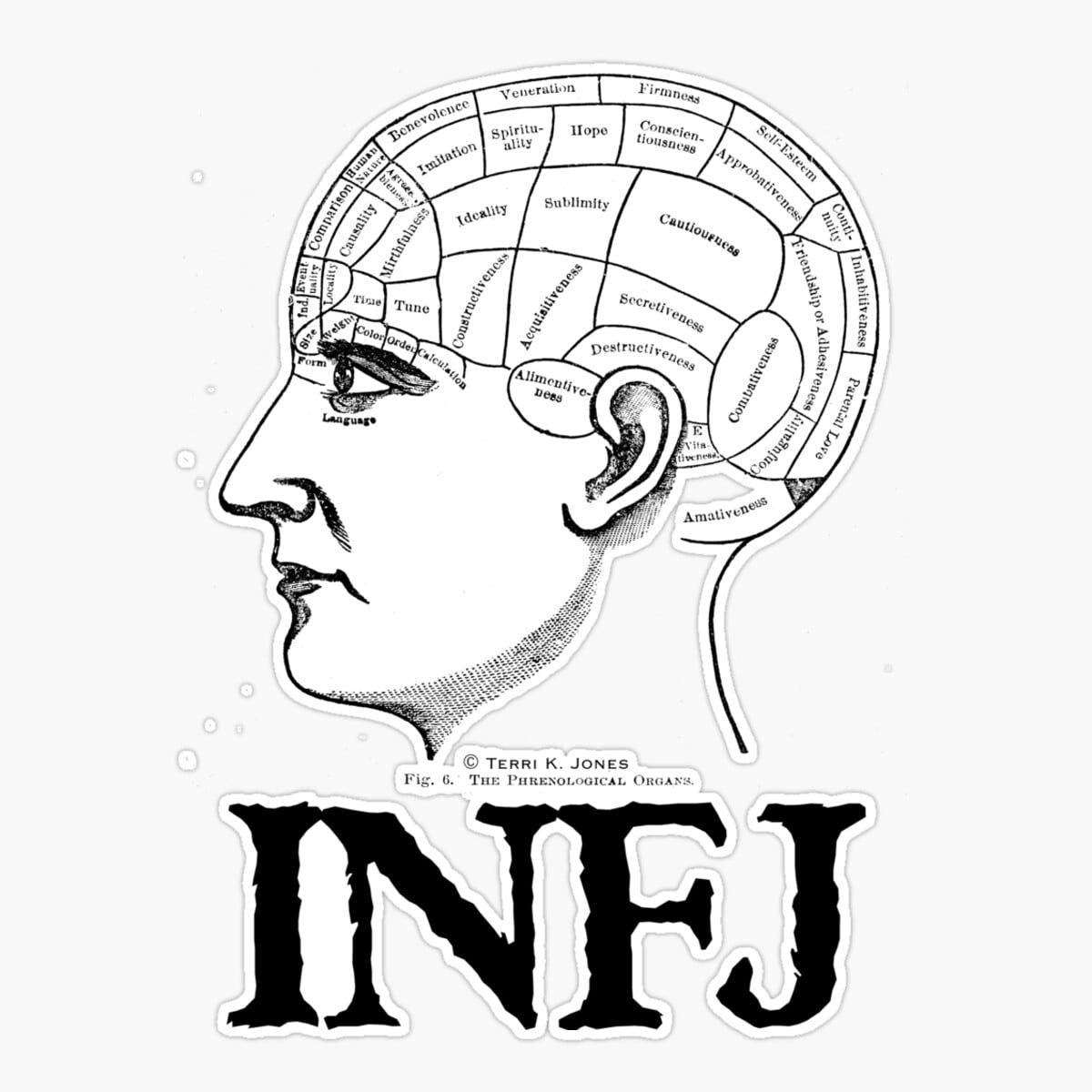 Onim Infj Myers-Briggs Personality Test Sticker, Phone Decal Water ...