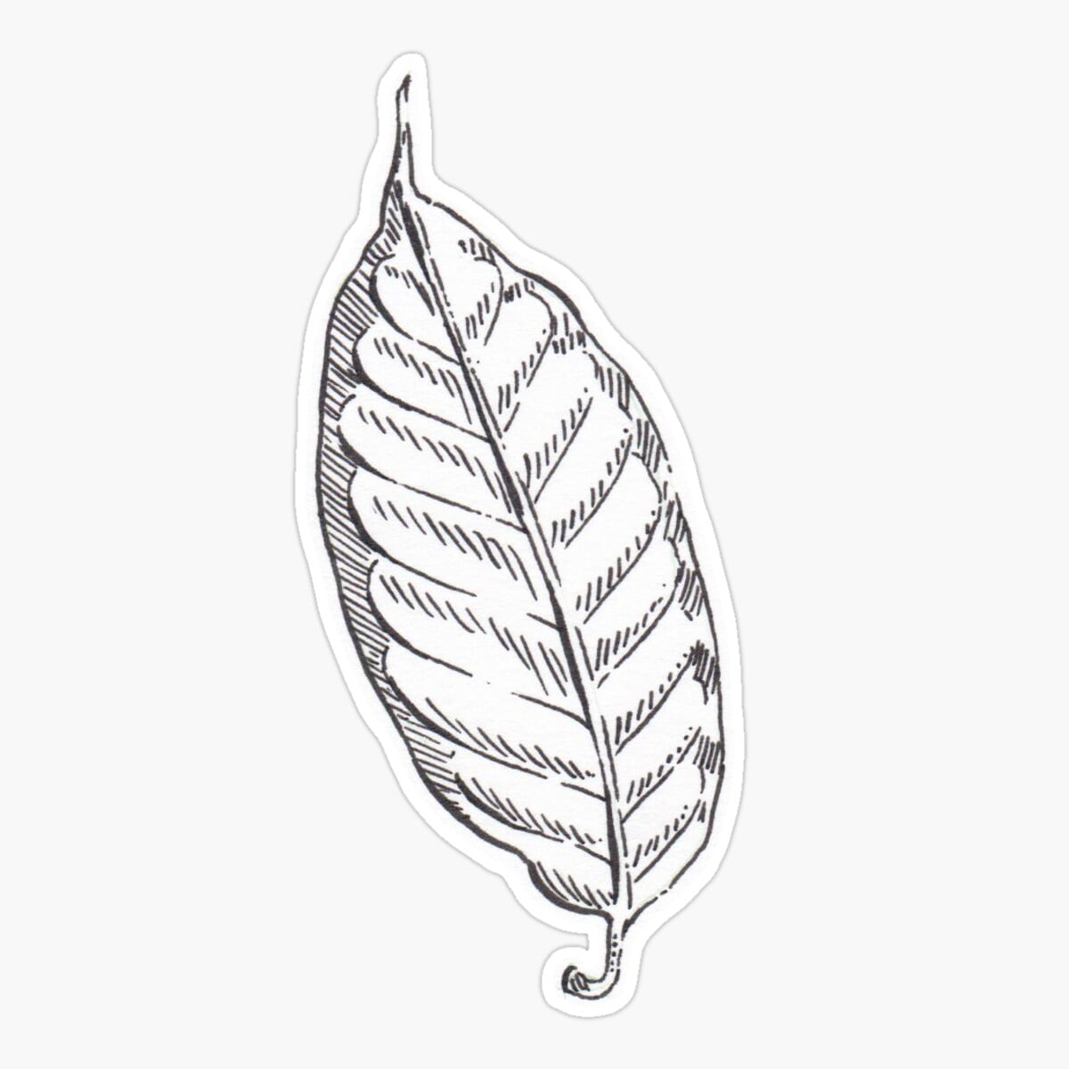 Onim Ink Leaf Sticker, Phone Decal Water Bottle Stickers Car Decals ...