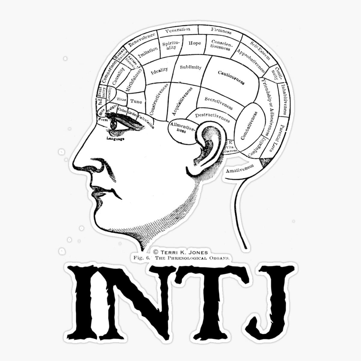 Onim Intj Myers-Briggs Personality Test Sticker, Phone Decal Water ...
