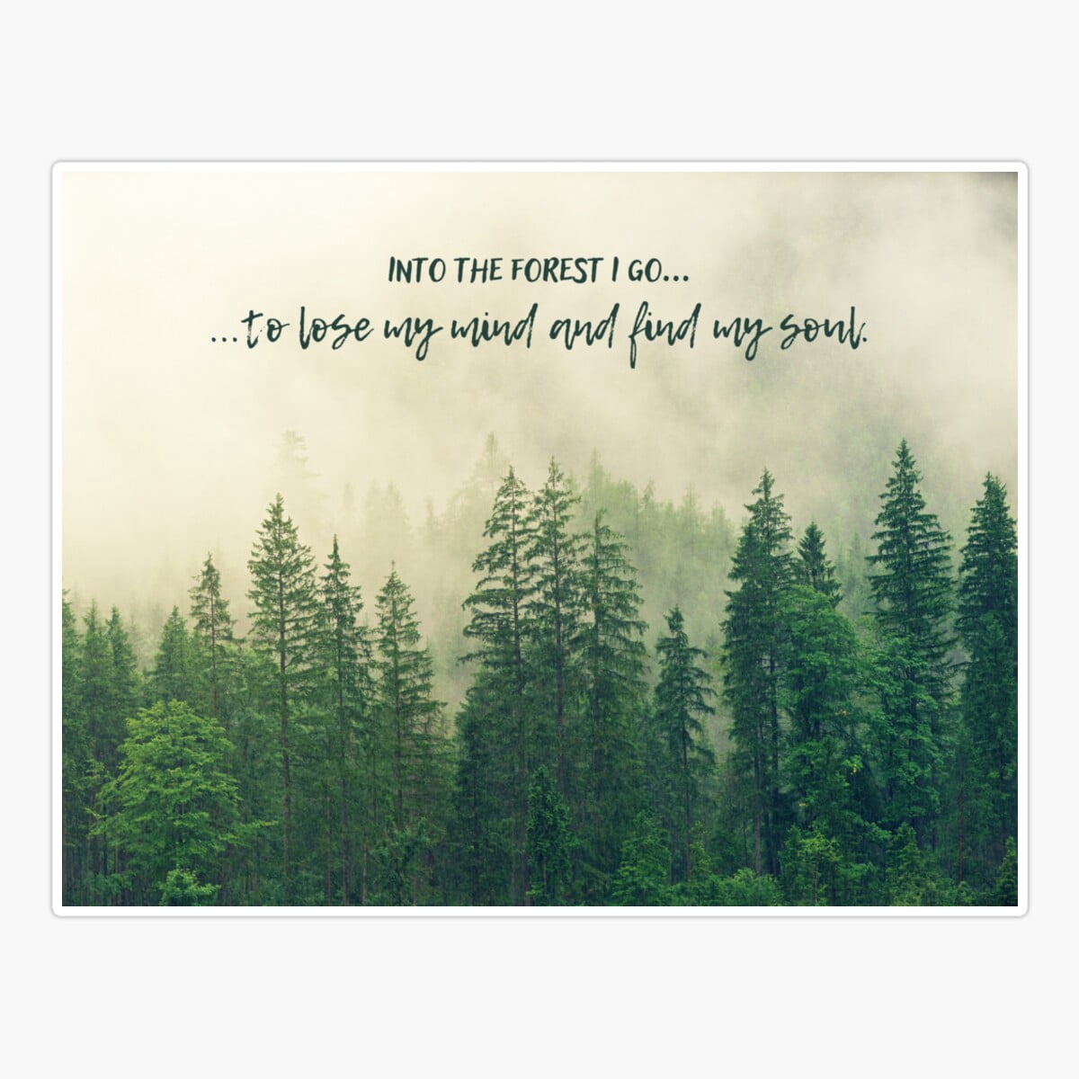 Onim Into The Forest I Go Sticker, Phone Decal Water Bottle Stickers ...