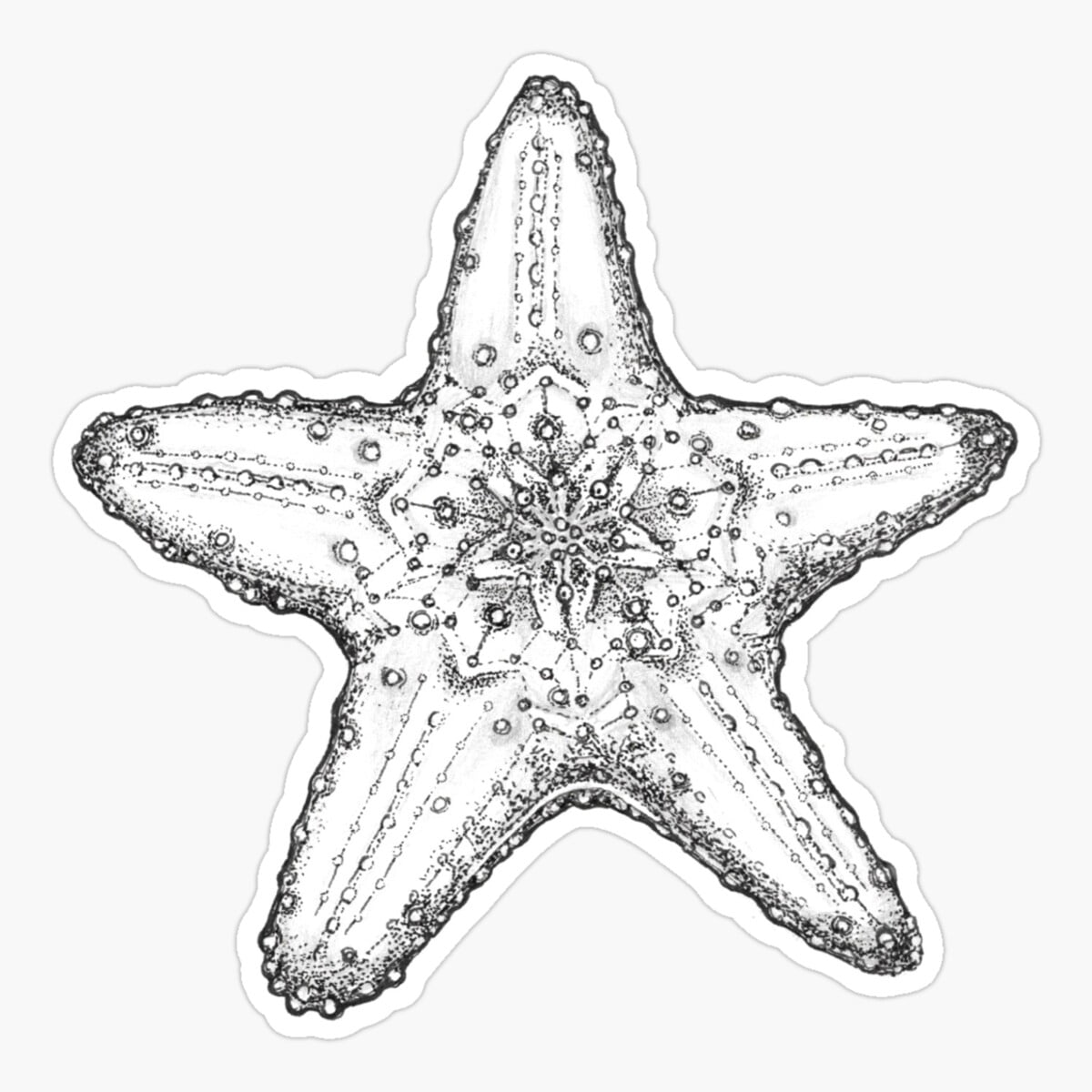Onim Intricate Starfish Sketch Sticker, Phone Decal Water Bottle ...