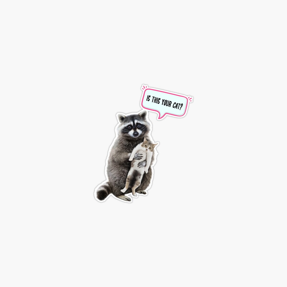 Onim Is This Your Cat? | Cat Meme| Raccoon Meme, Raccoon Sticker, Phone ...
