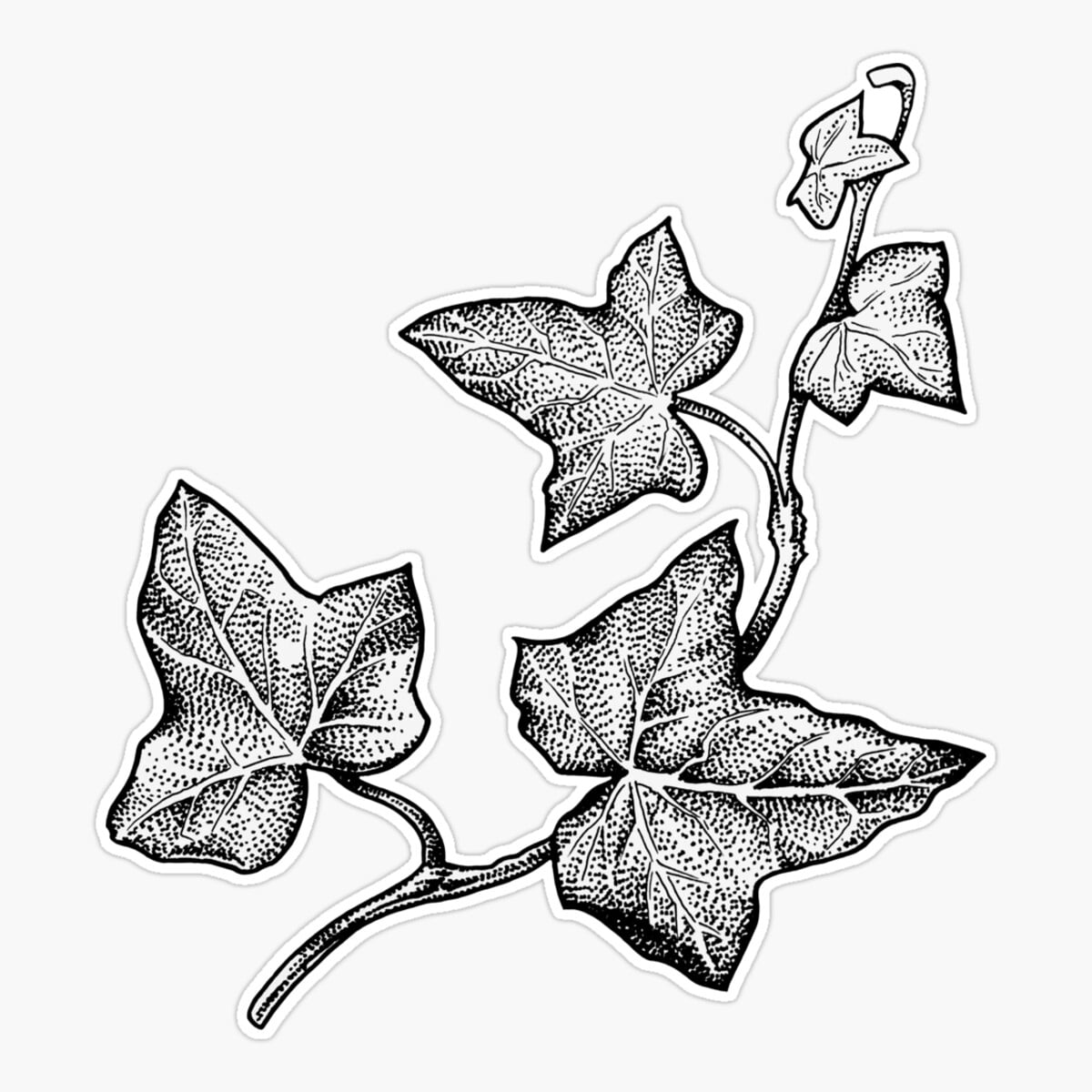 Onim Ivy Sticker, Phone Decal Water Bottle Stickers Car Decals, Funny ...