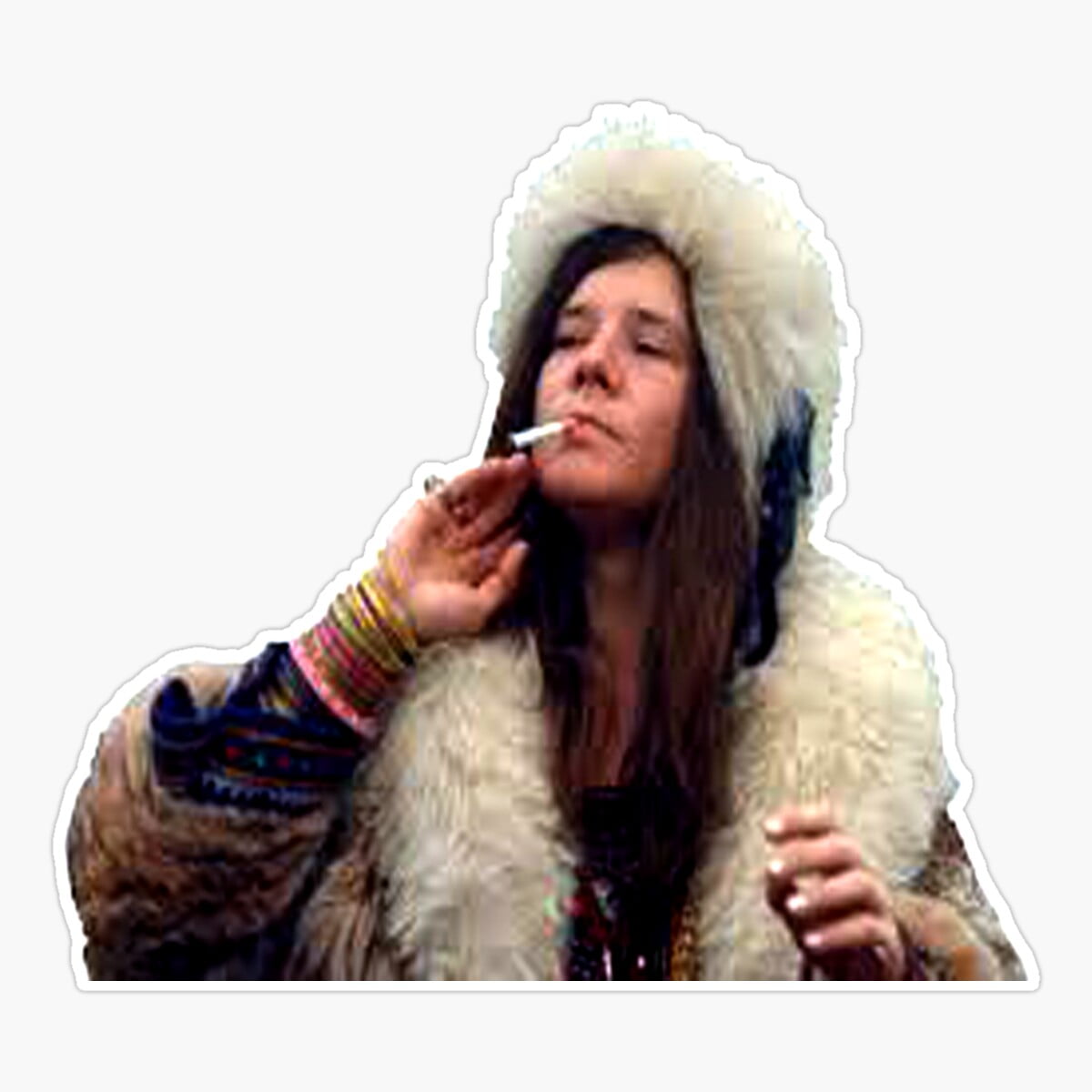 Onim Janis Retro Art Sticker, Phone Decal Water Bottle Stickers Car ...