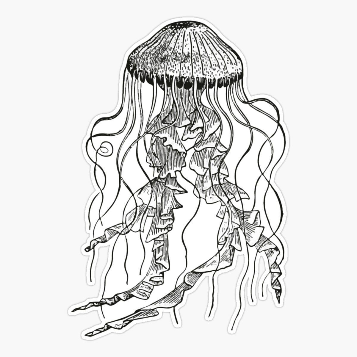 Onim Jellyfish Medusa Méduse Qualle Медуза Sticker, Phone Decal Water ...