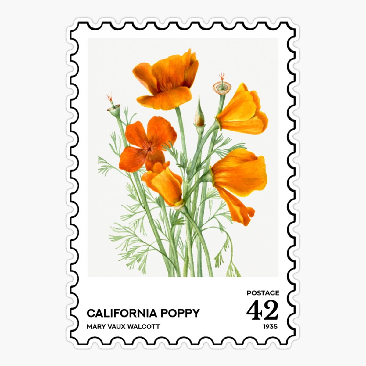 Onim Jiminy Cricket Sticker, Phone Decal Water Bottle Stickers Car ...