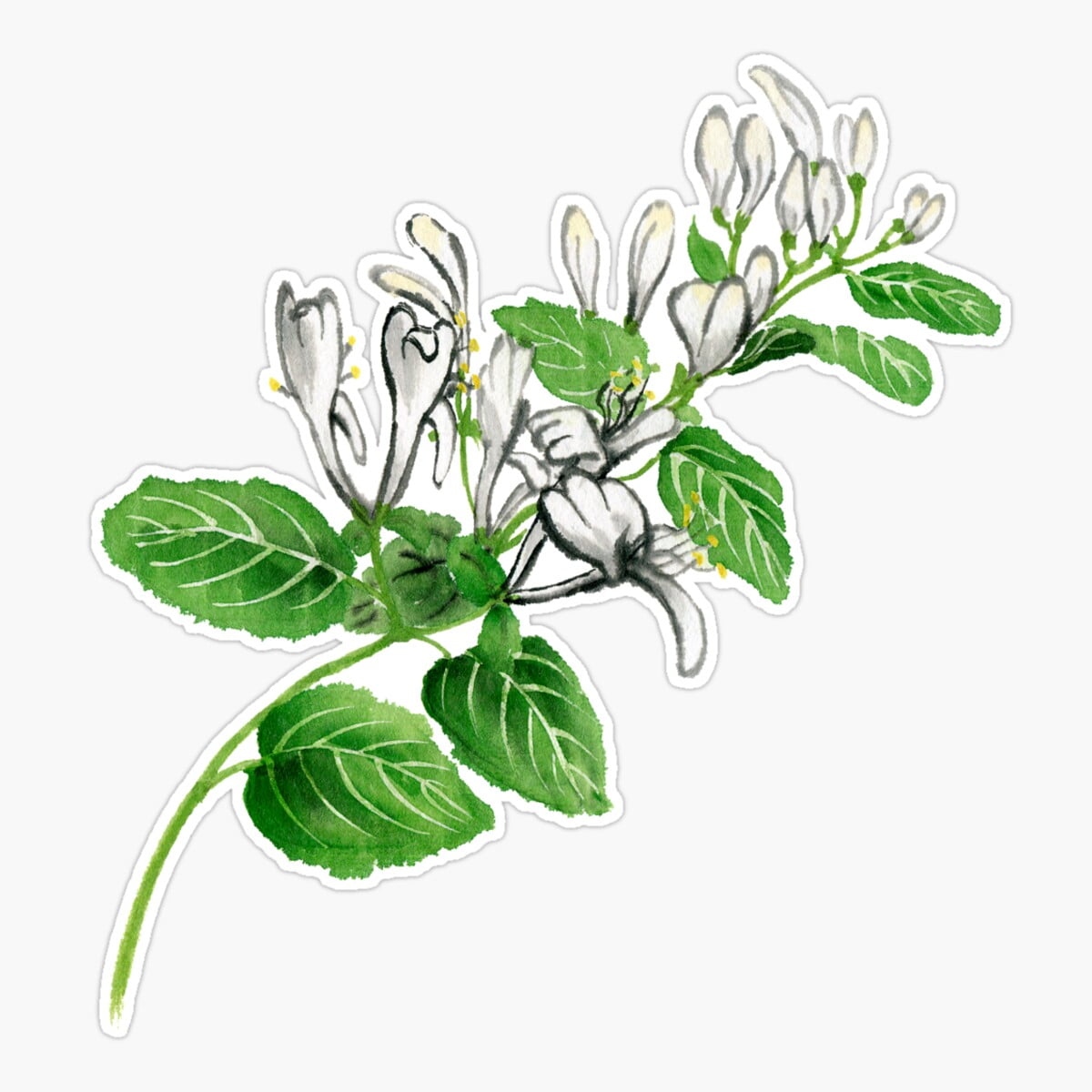 Onim June 30Th Birthday Flower Sticker, Phone Decal Water Bottle ...