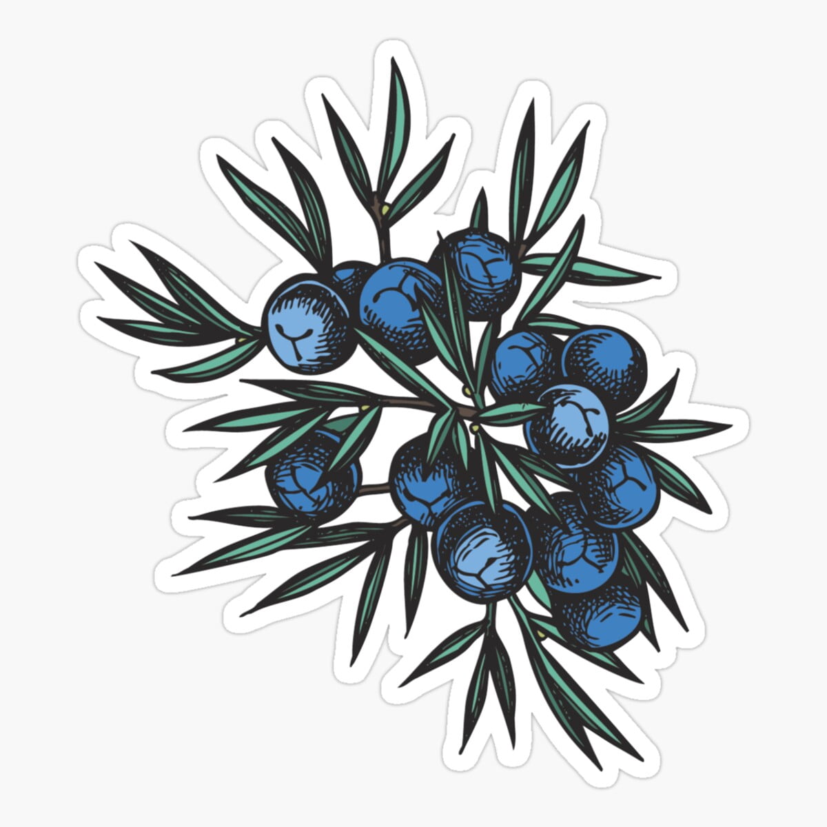 Onim Juniper Fruit Sticker, Phone Decal Water Bottle Stickers Car ...