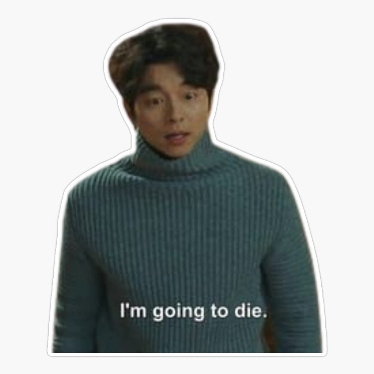 Onim Kdrama Meme Sticker, Phone Decal Water Bottle Stickers Car Decals, Funny Birthday Gift ...