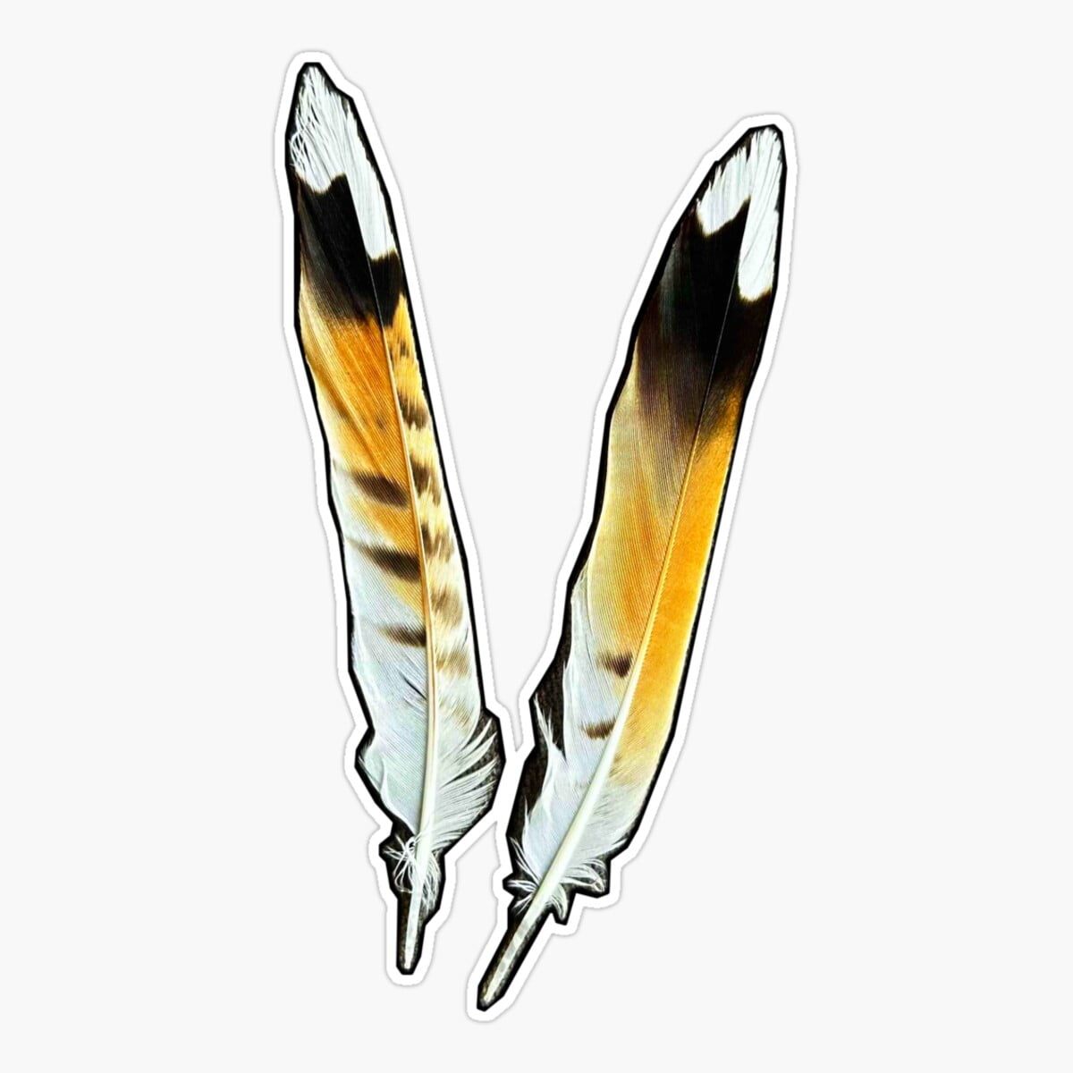 Onim Killdeer Feathers Sticker, Phone Decal Water Bottle Stickers Car ...