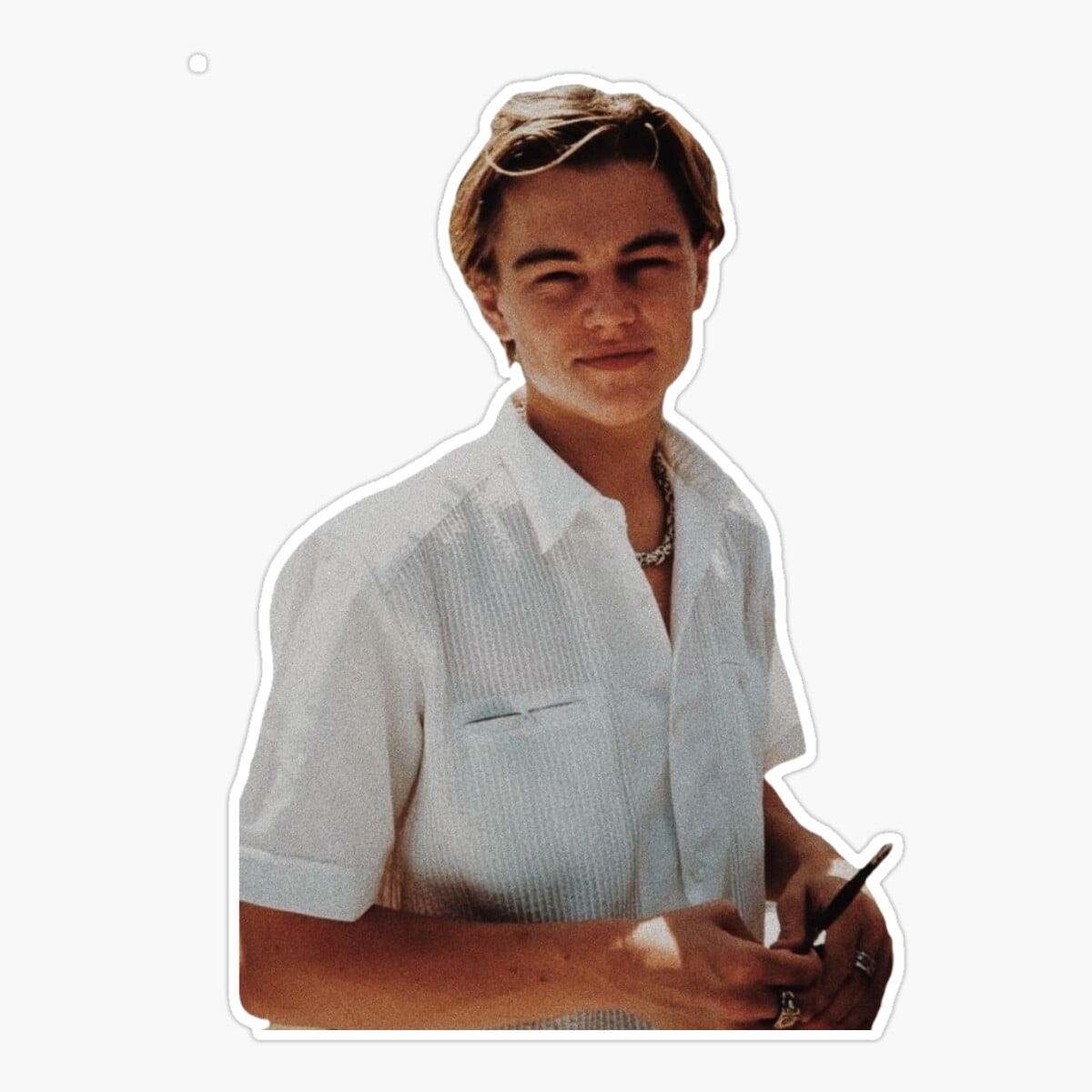 Onim L. Dicaprio Sticker, Phone Decal Water Bottle Stickers Car Decals ...