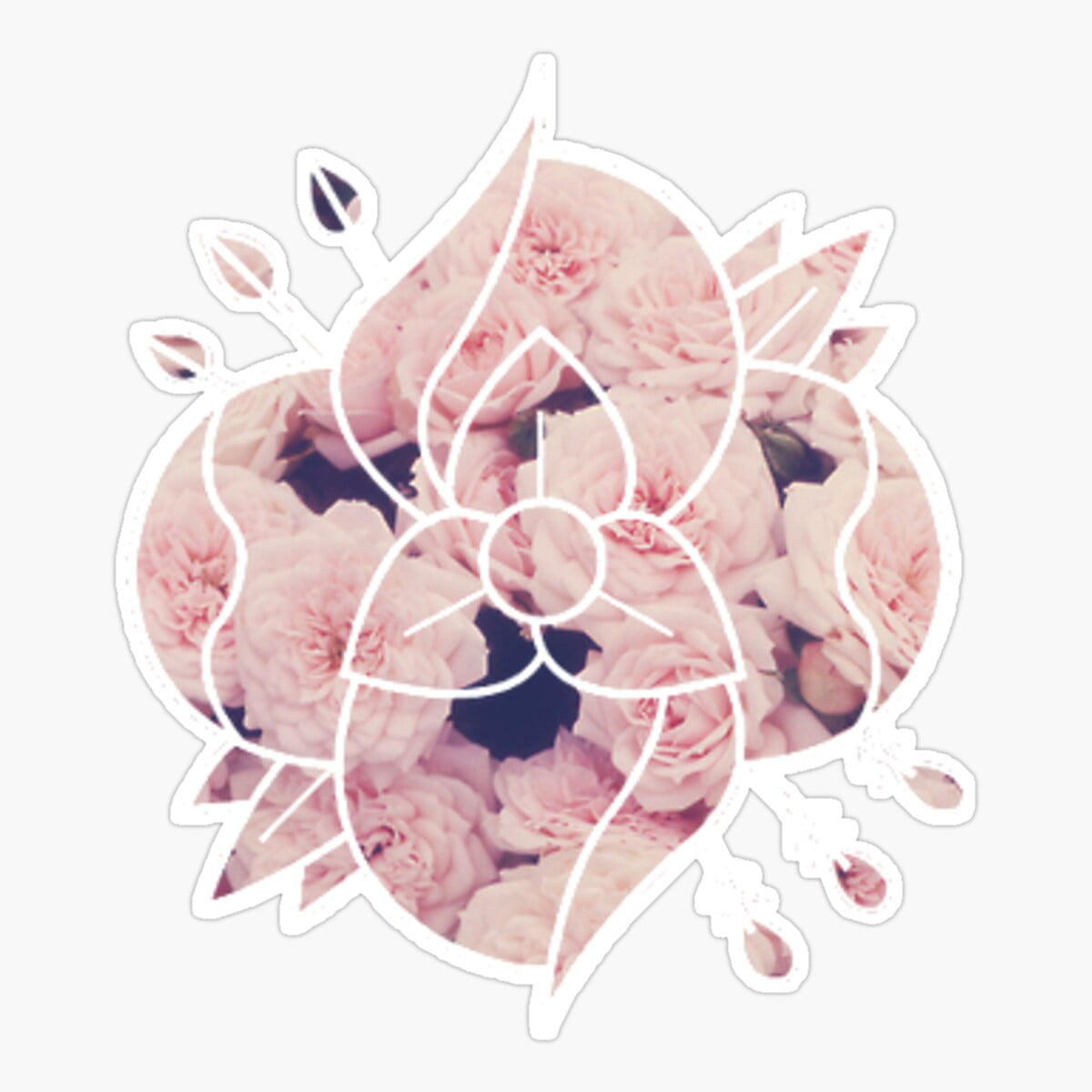 Onim La Dispute Flower Sticker, Phone Decal Water Bottle Stickers Car ...