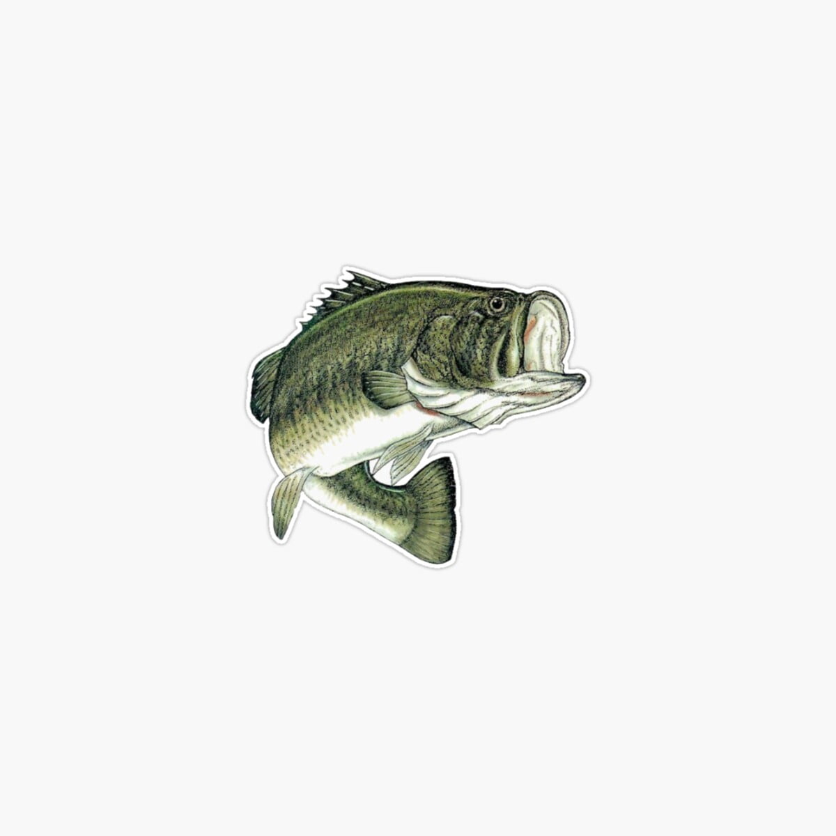 Onim Largemouth Bass Sticker, Phone Decal Water Bottle Stickers Car ...