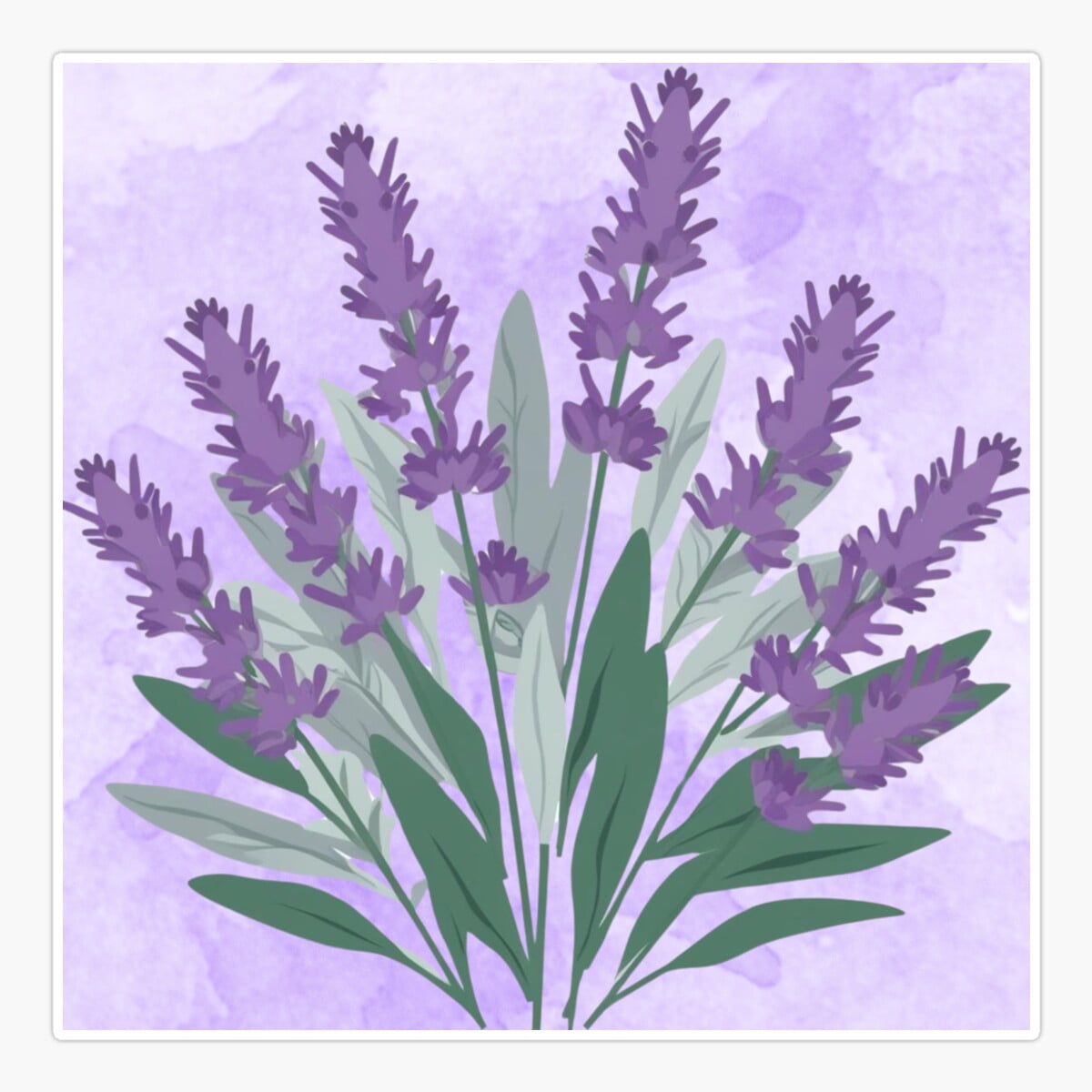 Onim Lavender Botanical Illustration – Soft Floral Watercolor Design ...
