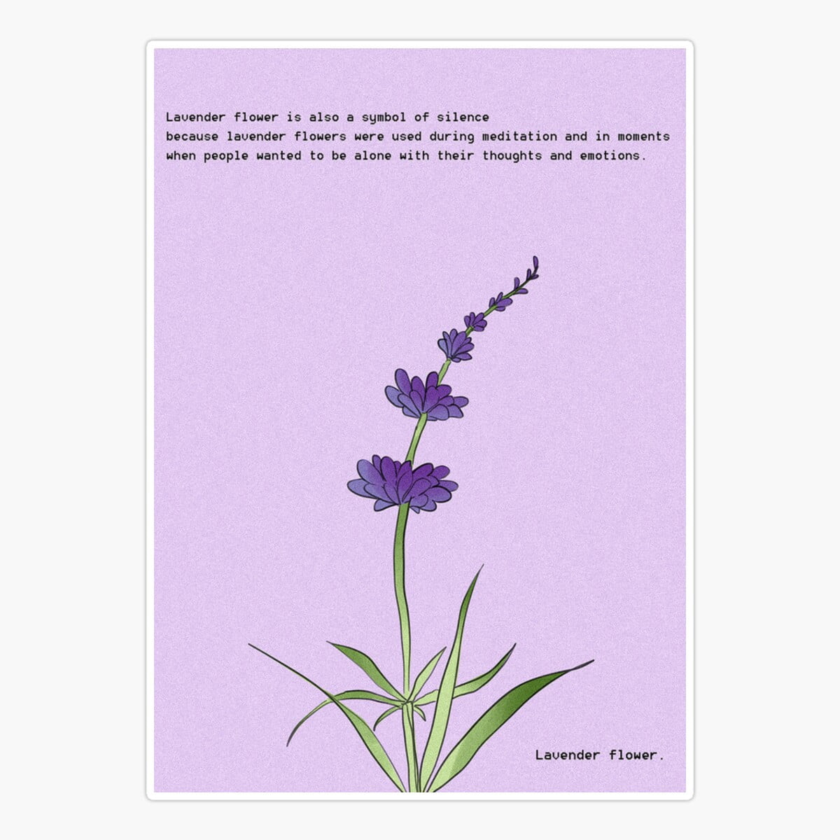 Onim Lavender Flower Definition Sticker, Phone Decal Water Bottle ...