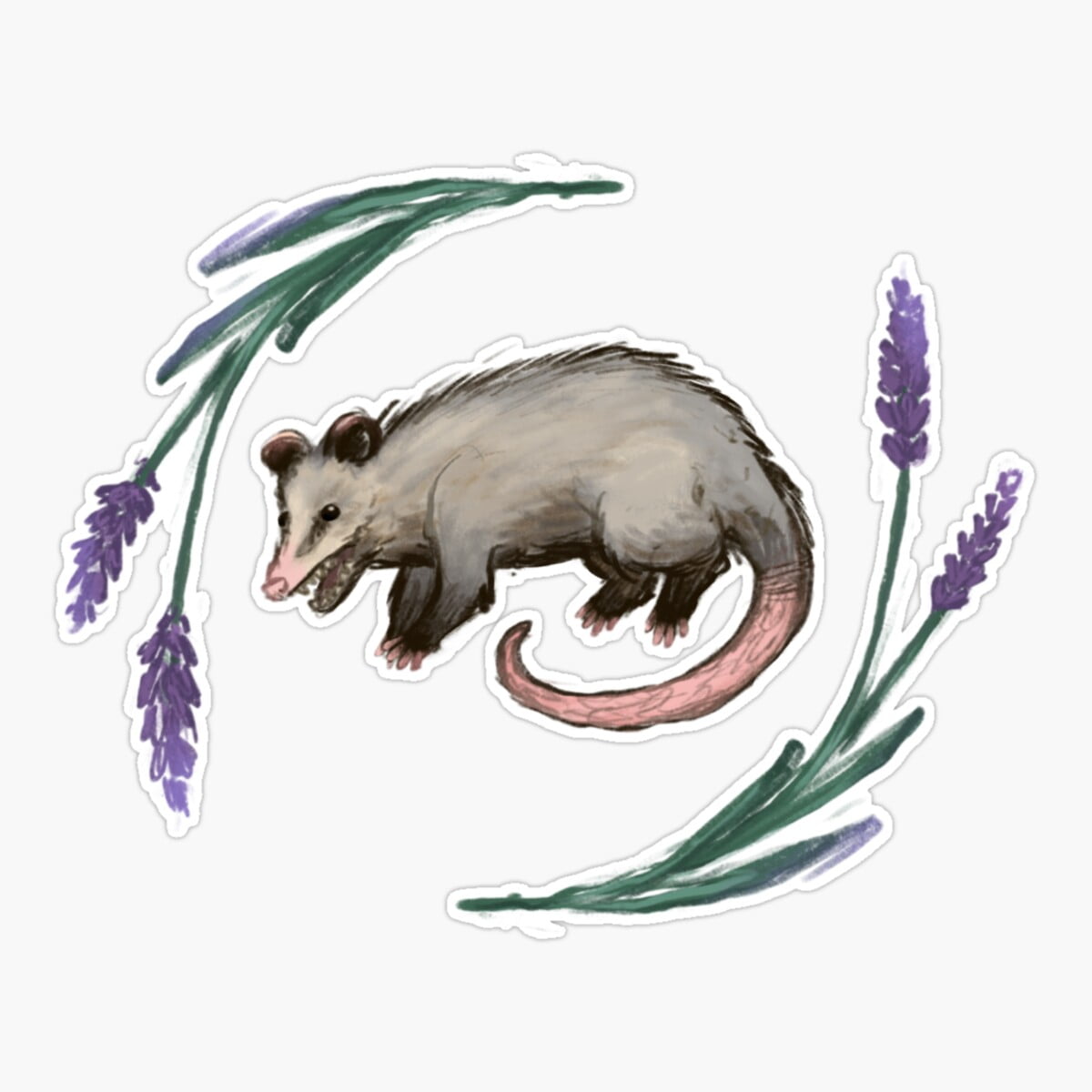Onim Lavender Opossum Sticker, Phone Decal Water Bottle Stickers Car ...