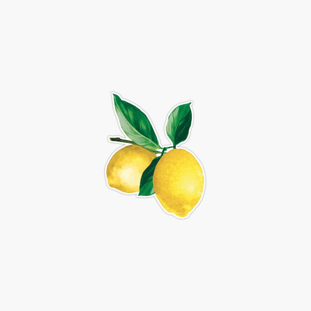 Onim Lemon Sticker, Phone Decal Water Bottle Stickers Car Decals, Funny ...
