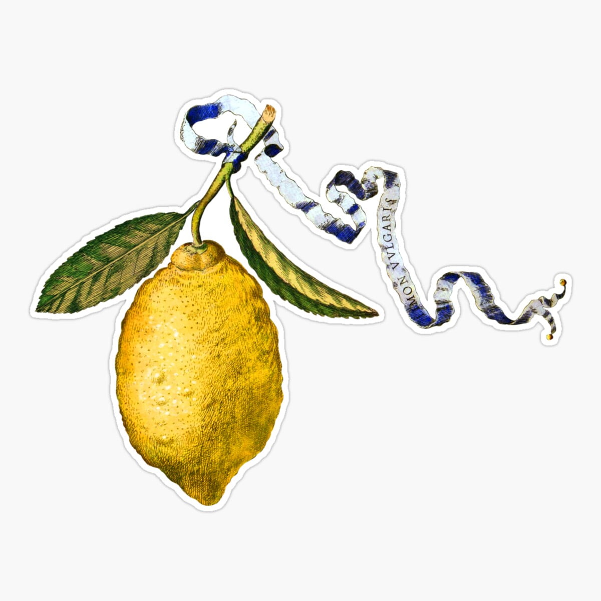 Onim Lemon Tree - White Sticker, Phone Decal Water Bottle Stickers Car ...
