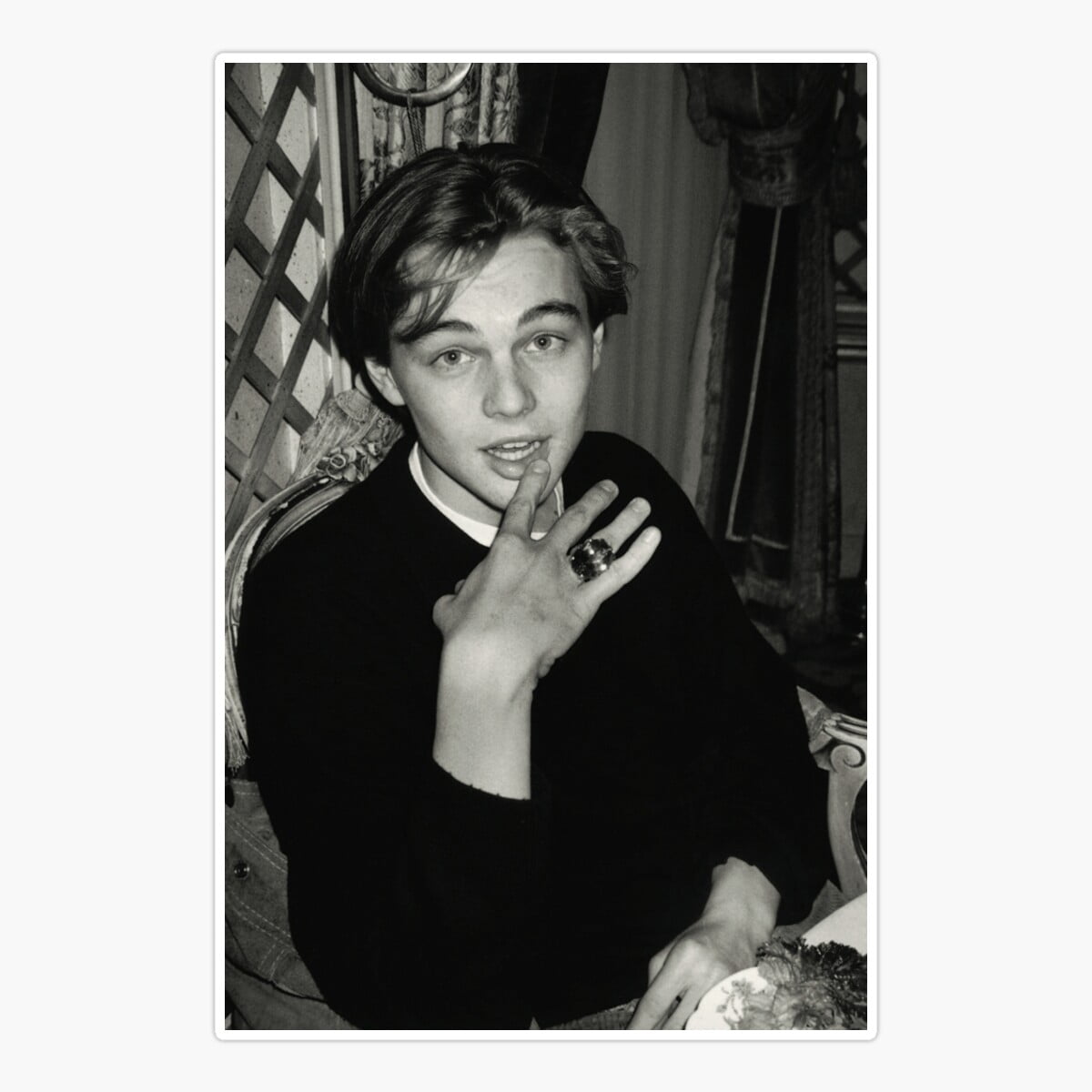 Onim Leo Sticker, Phone Decal Water Bottle Stickers Car Decals, Funny ...