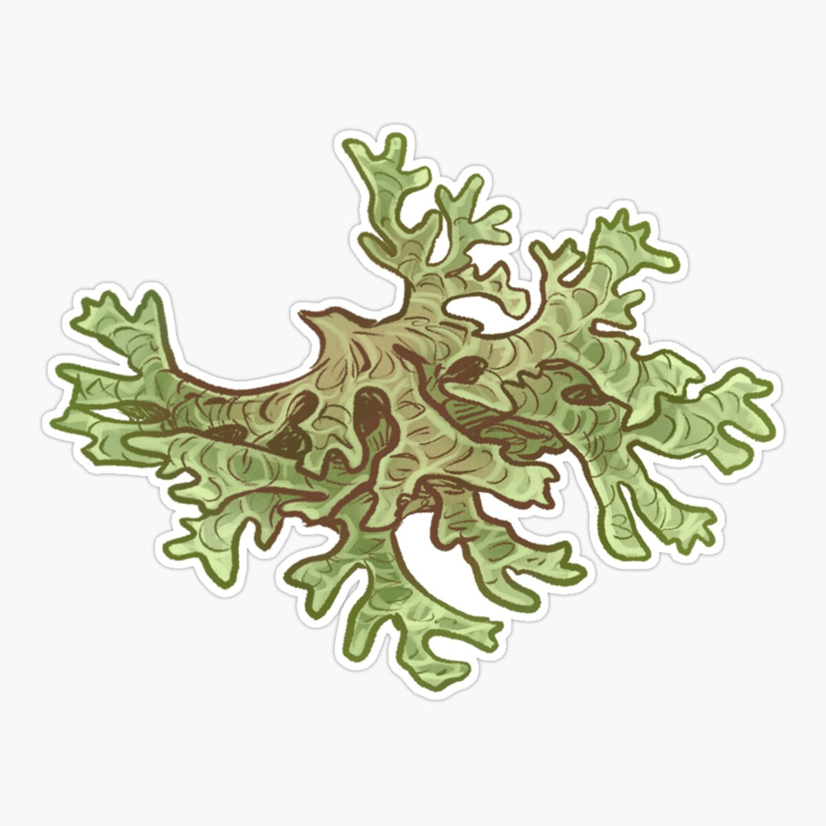 Onim Lichen 5 Sticker, Phone Decal Water Bottle Stickers Car Decals ...