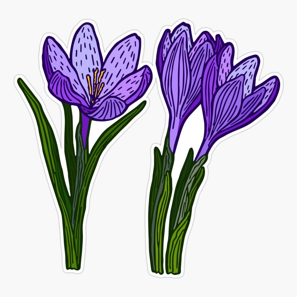 Onim Liliac Crocuses Sticker, Phone Decal Water Bottle Stickers Car ...