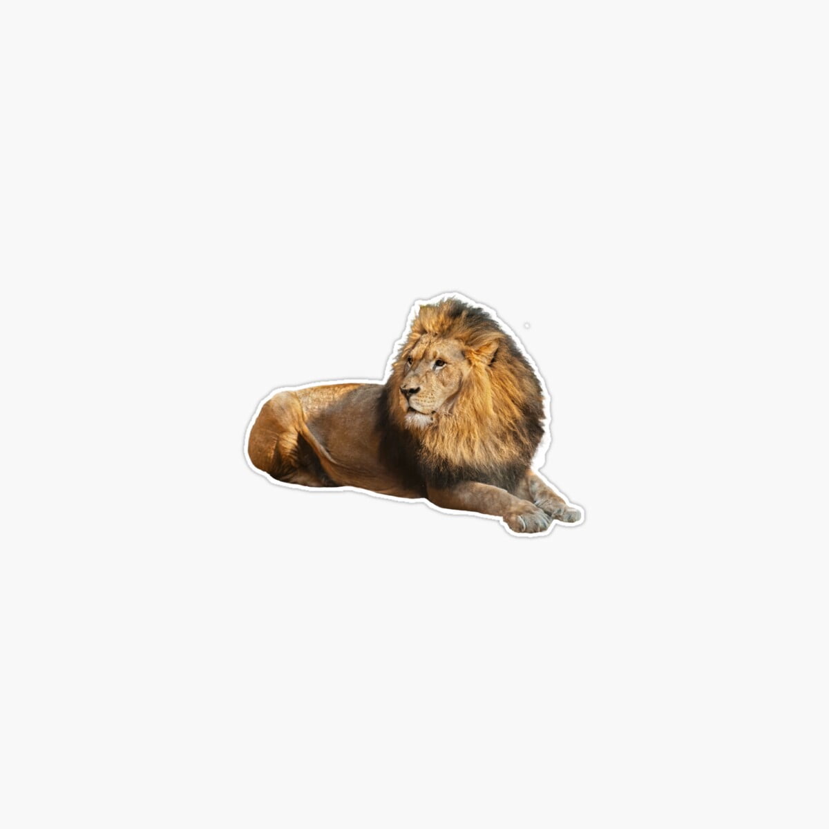 Onim Lion Sticker, Phone Decal Water Bottle Stickers Car Decals, Funny ...