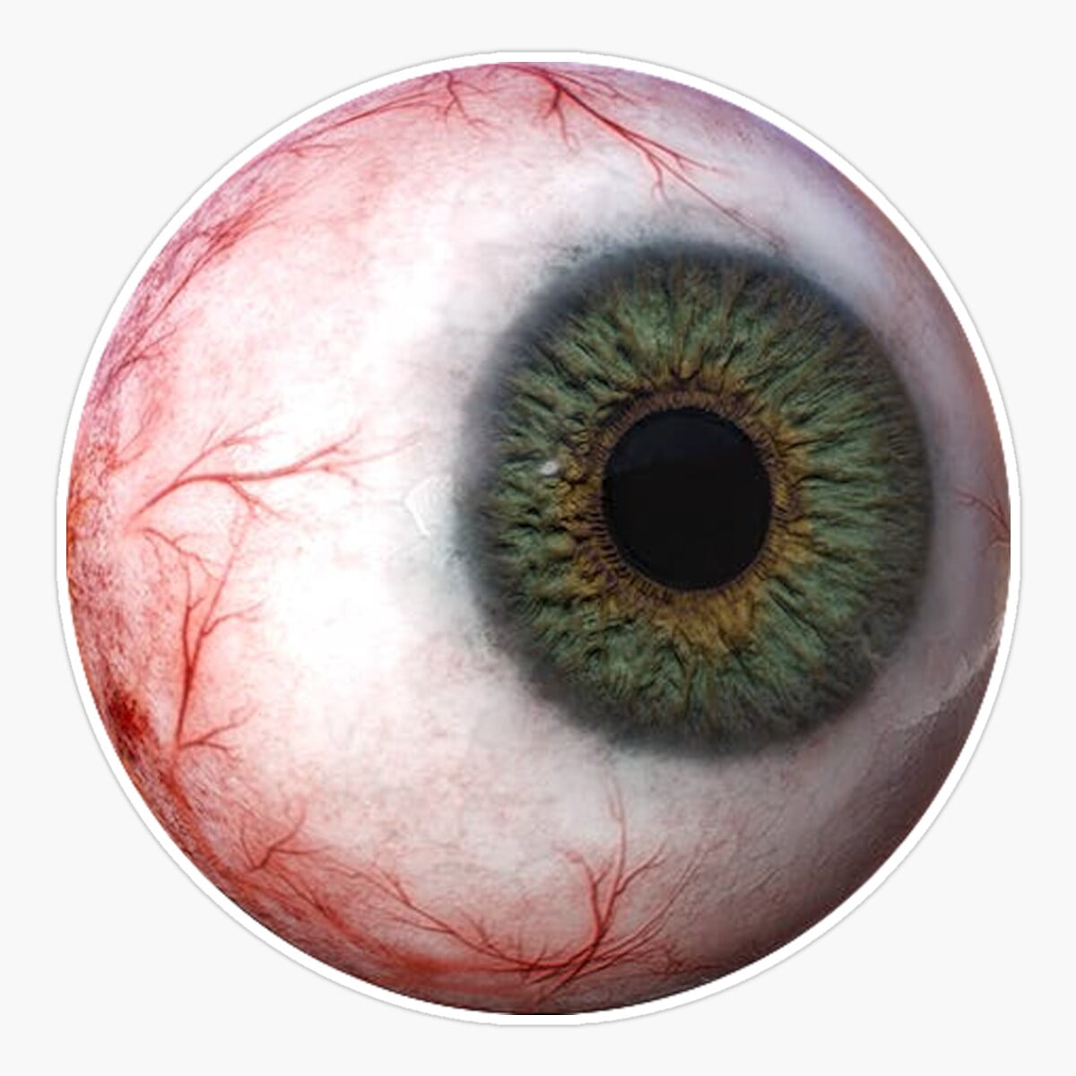 Onim Literally Just An Eyeball Sticker, Phone Decal Water Bottle ...