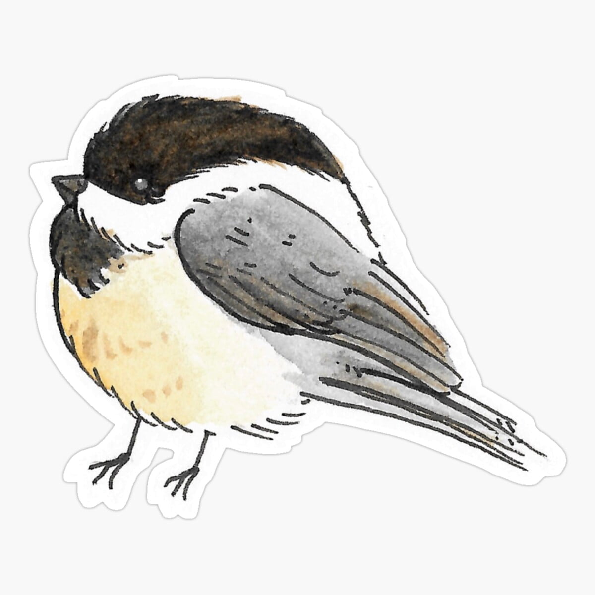 Onim Little Round Chickadee Watercolor Sticker, Phone Decal Water ...