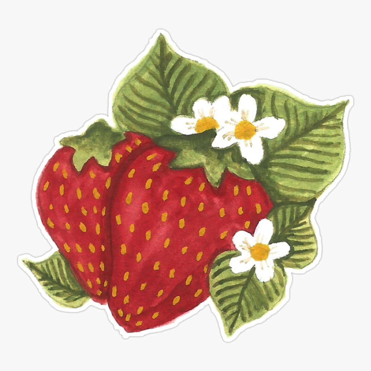 Onim Little Strawberries Sticker, Phone Decal Water Bottle Stickers Car ...