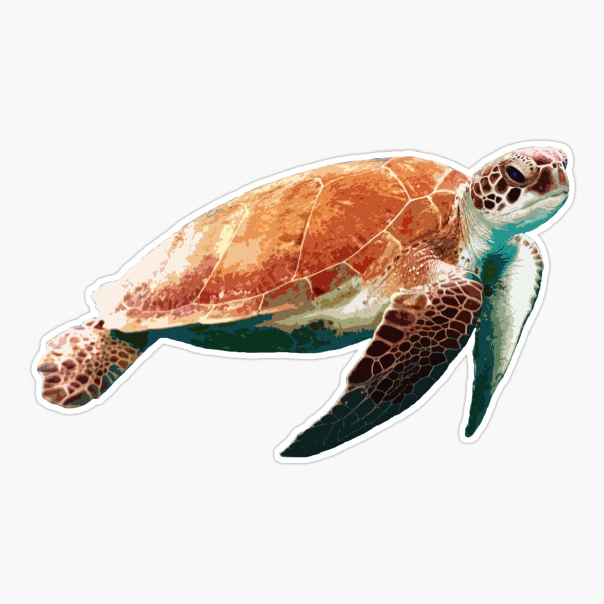 Onim Living The Slow Life Like A Turtle Sticker, Phone Decal Water ...