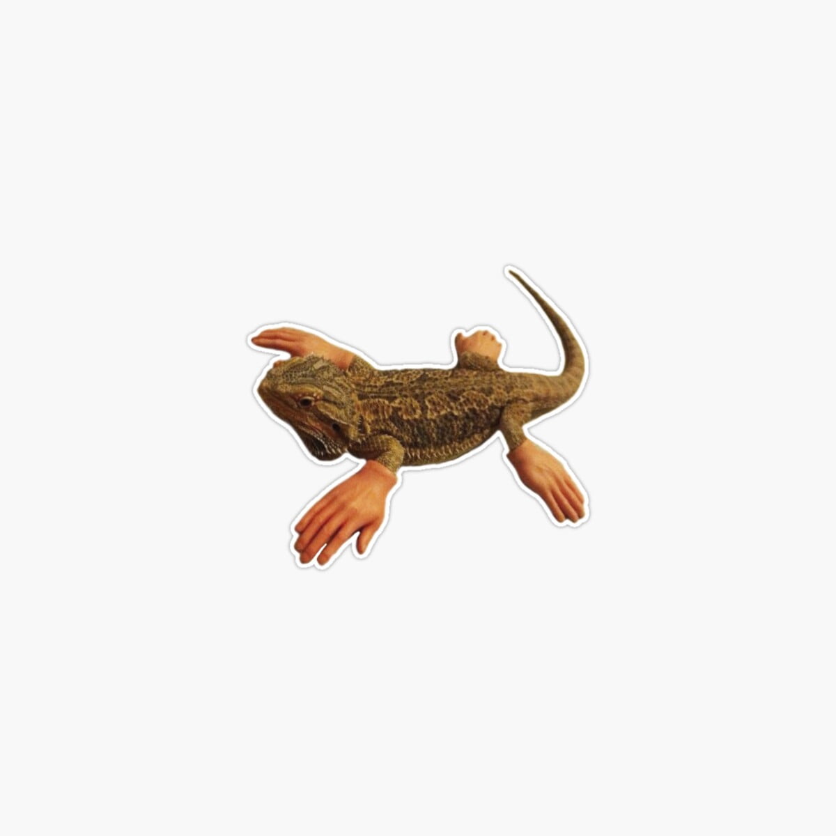 Onim Lizard Hands Sticker - Walmart.com
