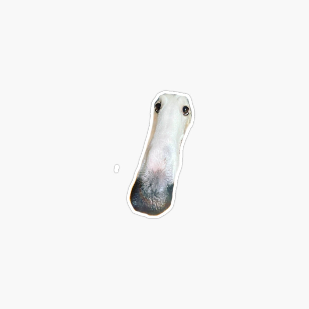 Onim Long Majestic Borzoi Dog Nose Sticker, Phone Decal Water Bottle ...