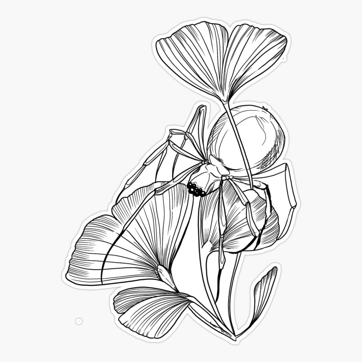 Onim Lucky Spider Sticker, Phone Decal Water Bottle Stickers Car Decals ...