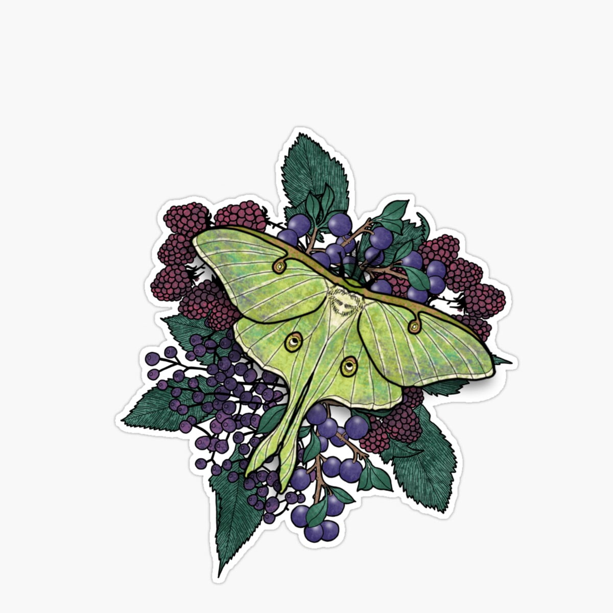 Onim Luna Moth And Berries Sticker, Phone Decal Water Bottle Stickers ...