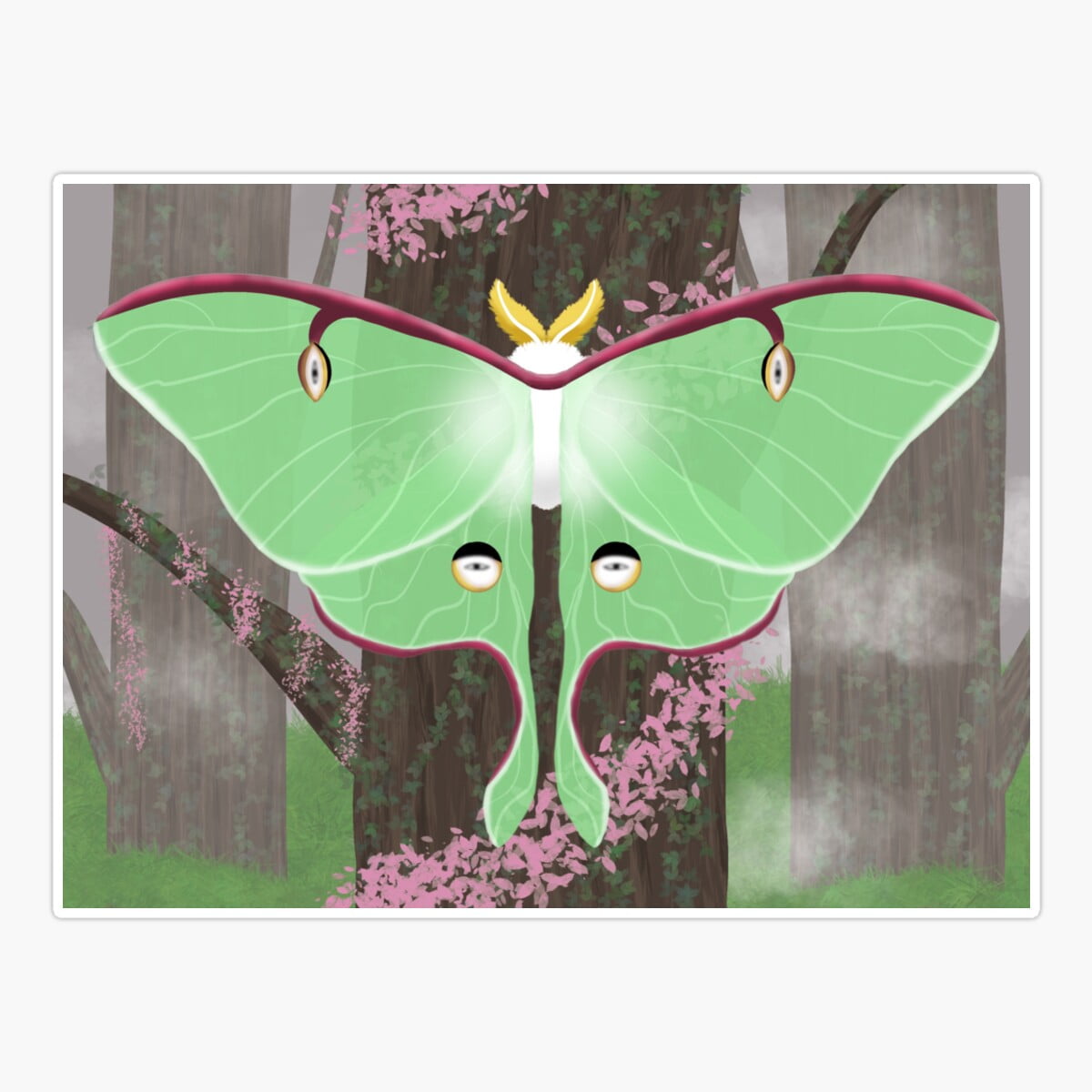 Onim Luna Moth Design Sticker, Phone Decal Water Bottle Stickers Car ...