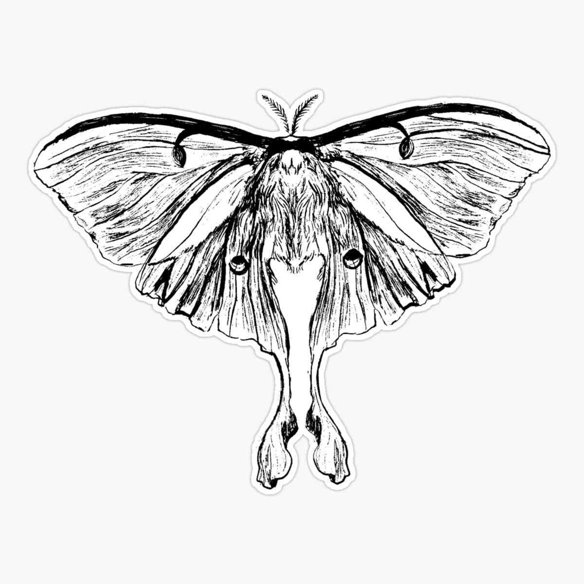 Onim Lunar Moth Sticker, Phone Decal Water Bottle Stickers Car Decals ...