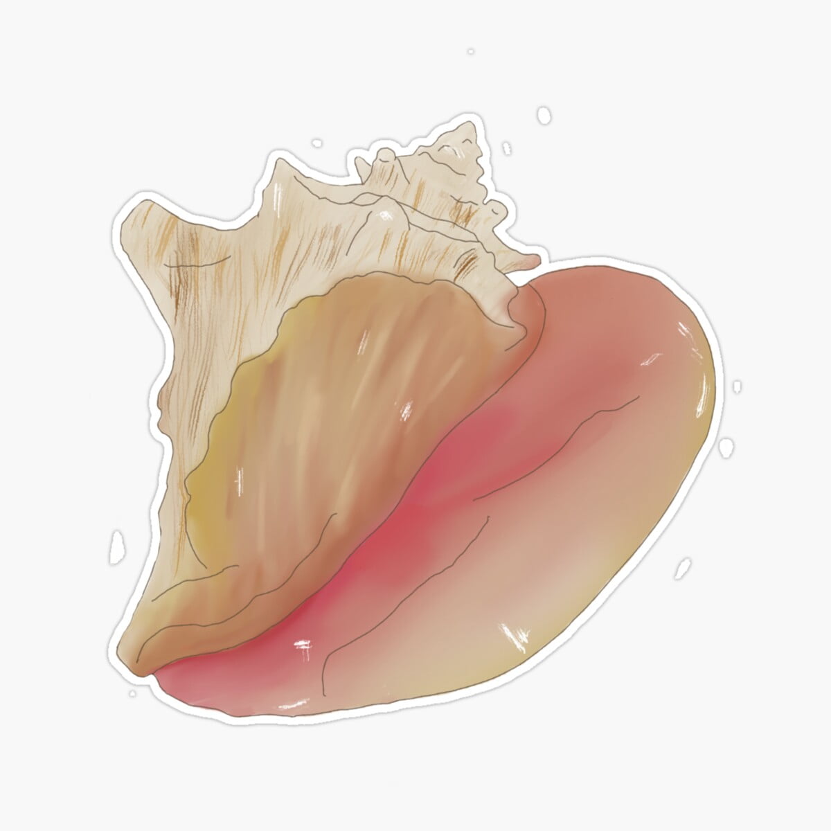 Onim Magic Conch Sticker, Phone Decal Water Bottle Stickers Car Decals ...