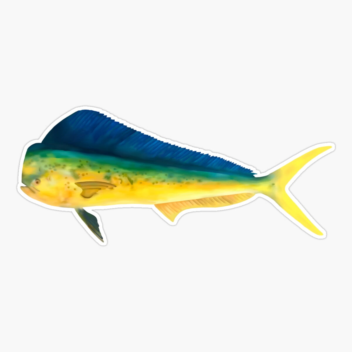 Onim Mahi-Mahi Fish Sticker, Phone Decal Water Bottle Stickers Car ...