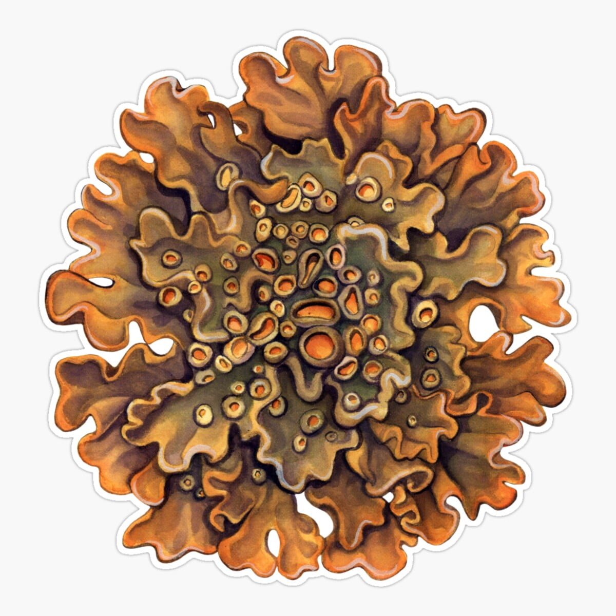 Onim Maritime Sunburst Lichen Sticker, Phone Decal Water Bottle ...