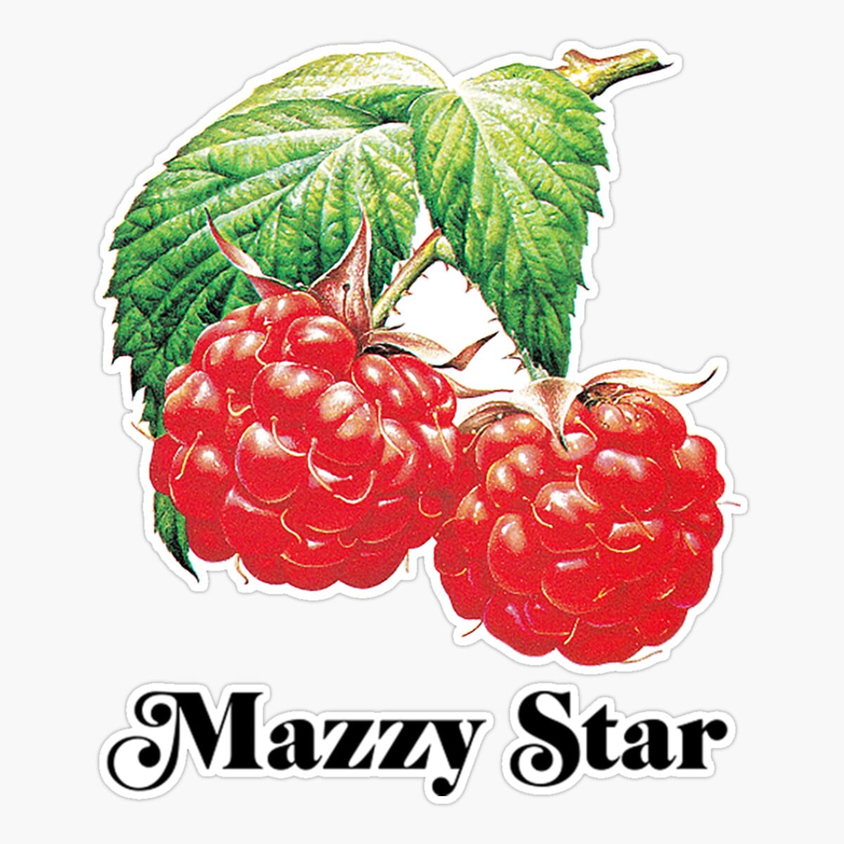 Onim Mazzy Star Original Retro Fan Design Sticker, Phone Decal Water ...